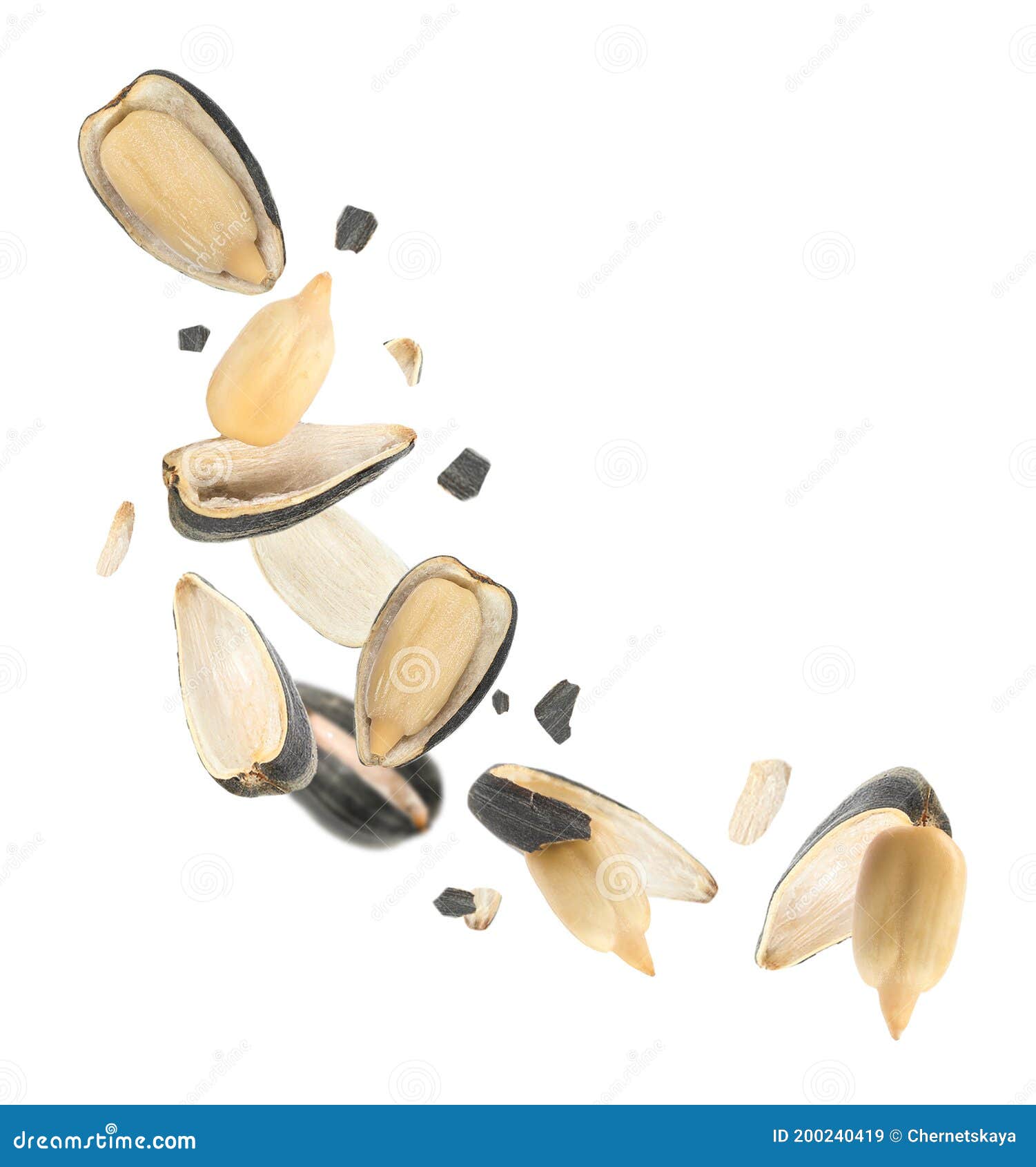 Sunflower Seeds with Hull Flying on White Background Stock Image ...