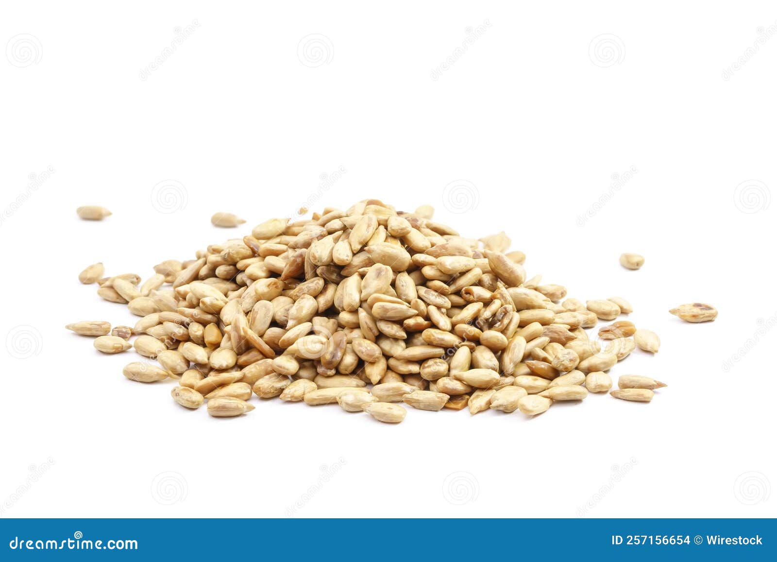 Sunflower Seeds Isolated on a White Background Stock Photo - Image of ...