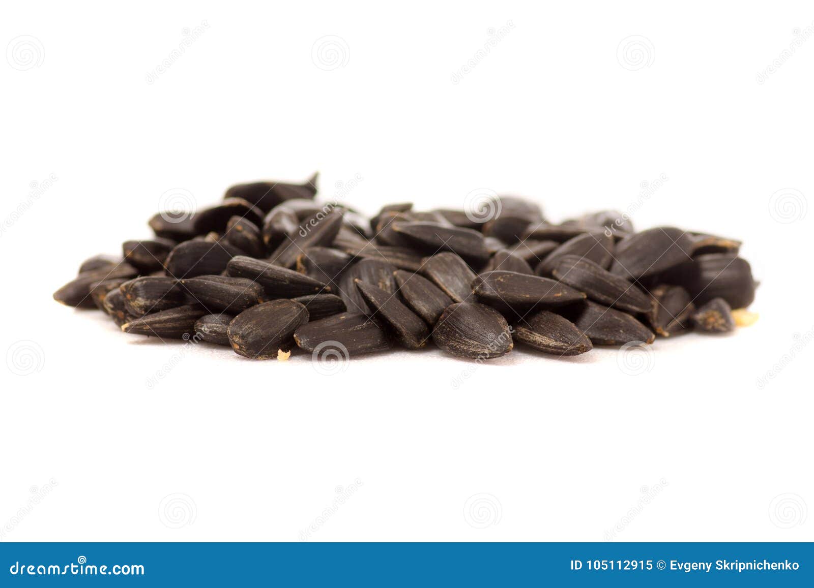 Sunflower seeds isolation stock image. Image of color - 105112915