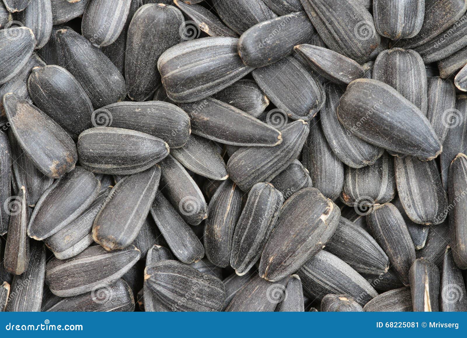 Sunflower seeds macro stock image. Image of wall, pattern - 68225081