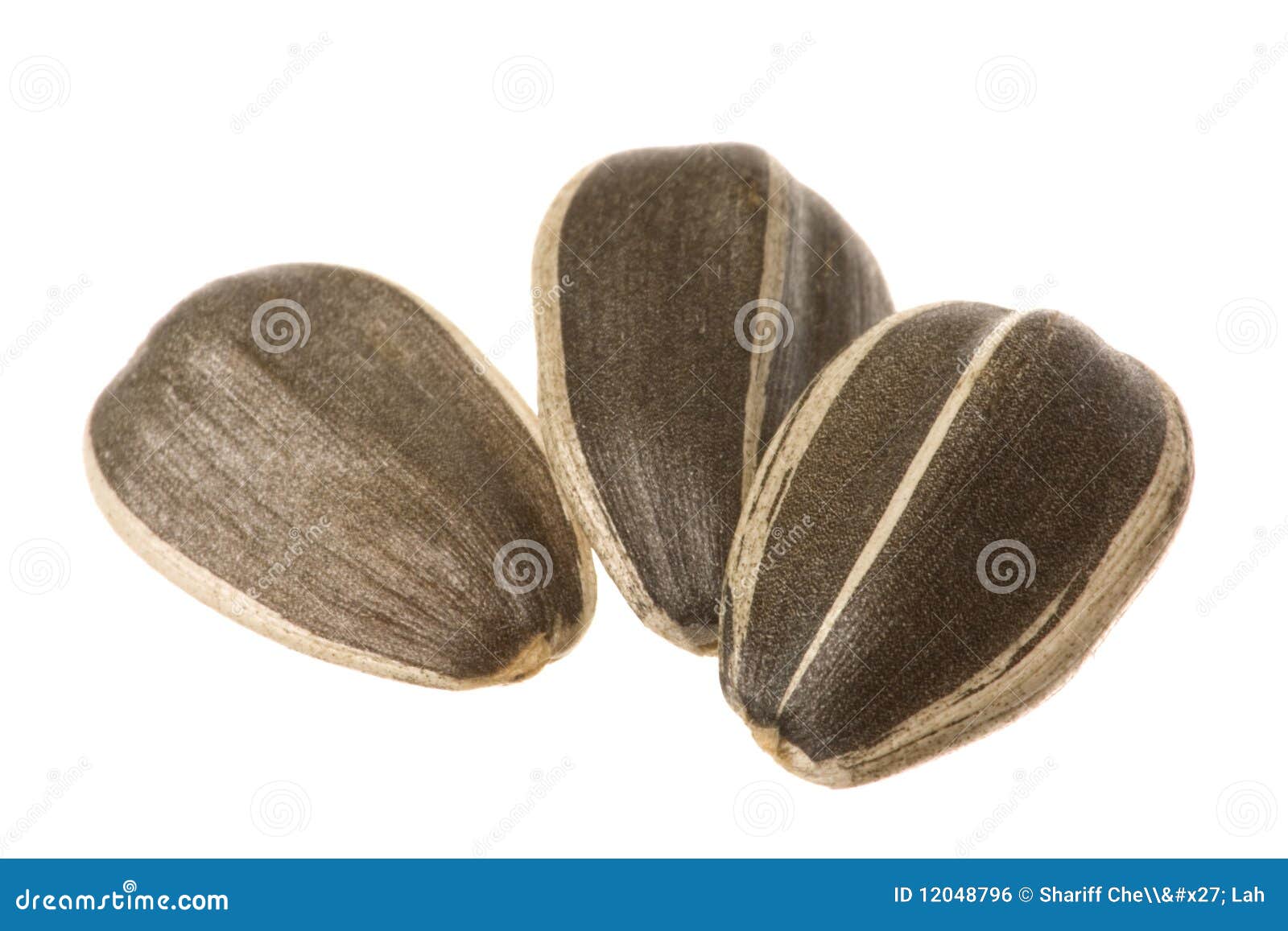 Sunflower Seeds Macro Isolated Stock Photo - Image of seeds, macro ...