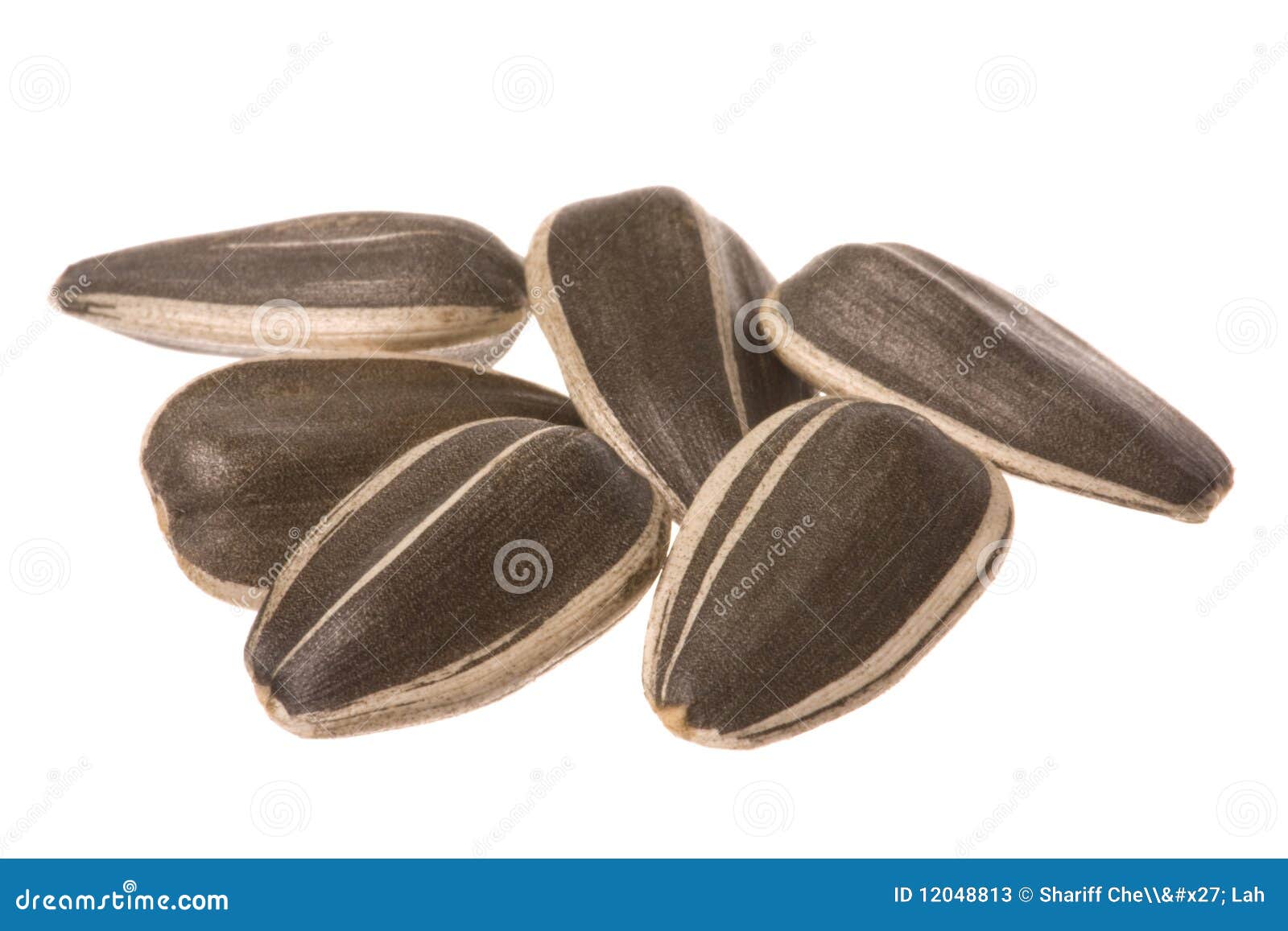 Sunflower Seeds Macro Isolated Stock Image - Image of snack, black ...
