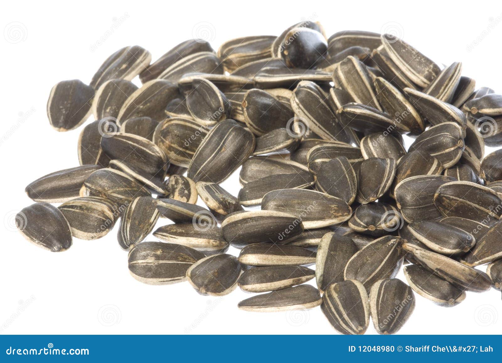 Sunflower Seeds Macro Isolated Stock Photo - Image of vegetables ...