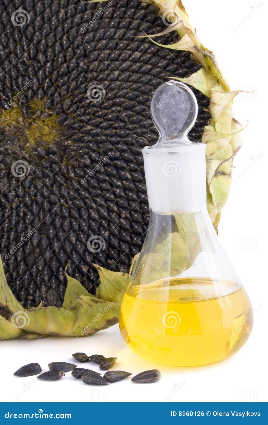 Sunflower seeds and oil stock photo. Image of food, healthy - 8960126