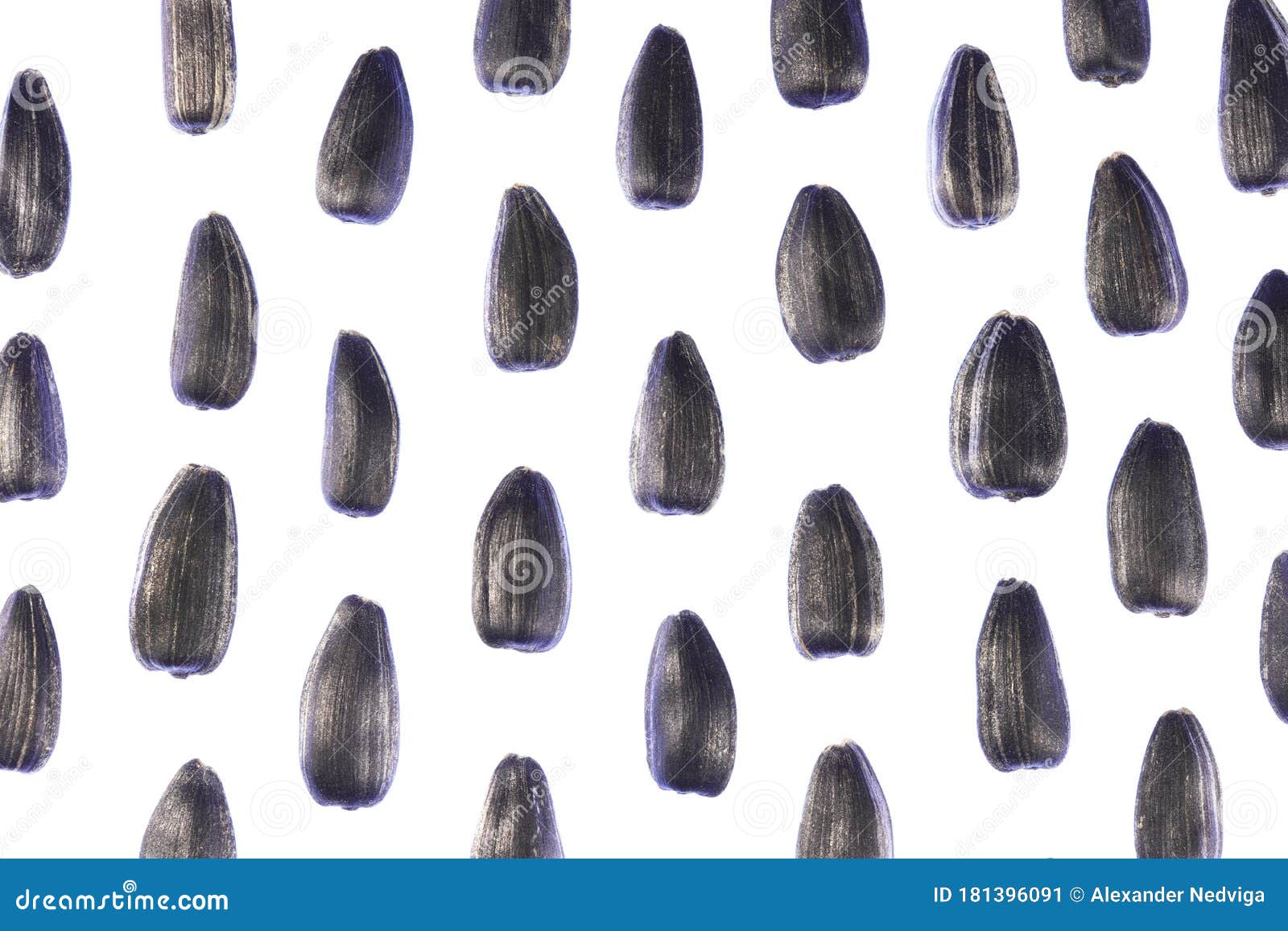 Sunflower Seeds Pattern. stock image. Image of black - 181396091