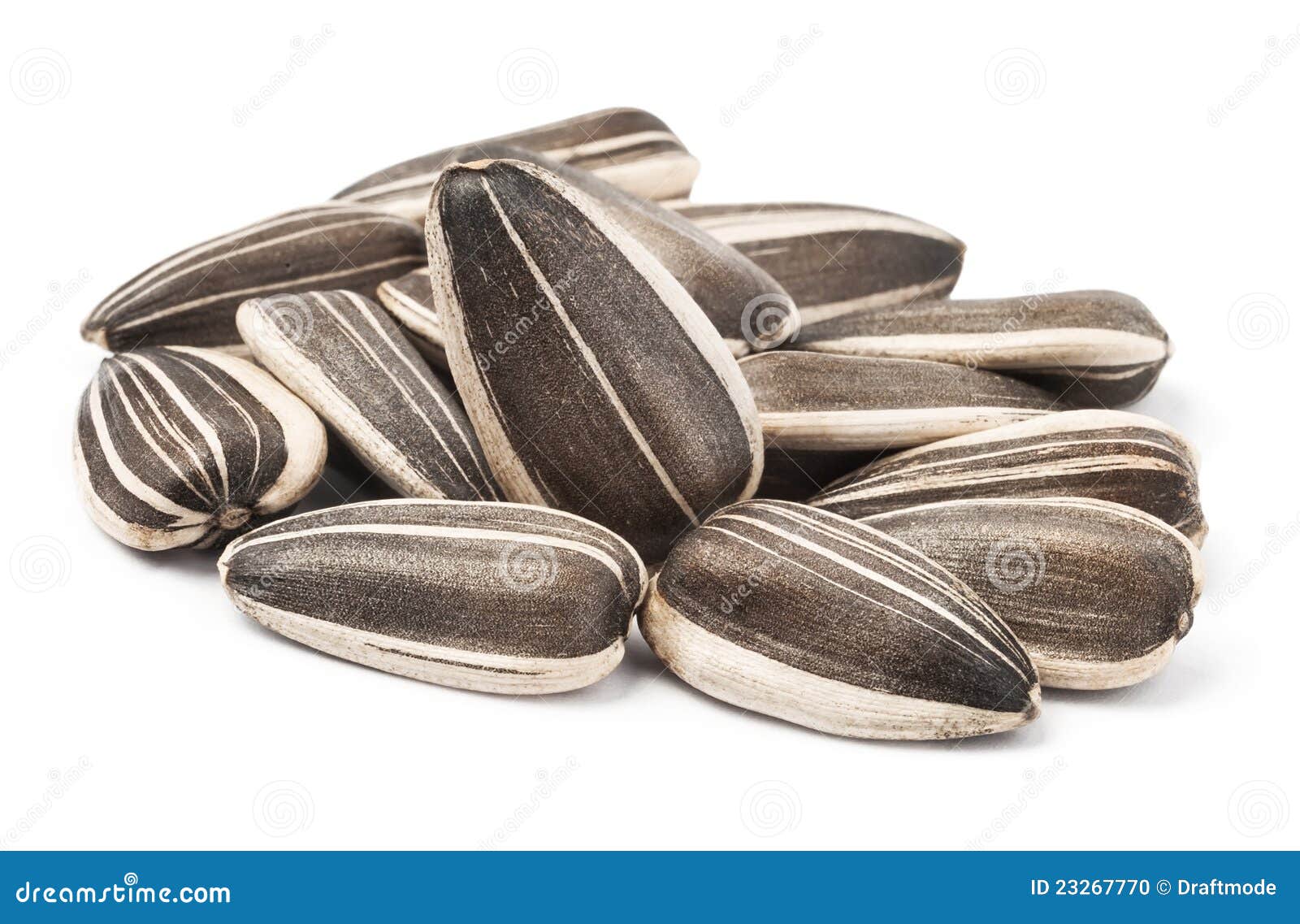 Sunflower Seeds And Agricultural Field Of Yellow Sunflowers Shown In A ...