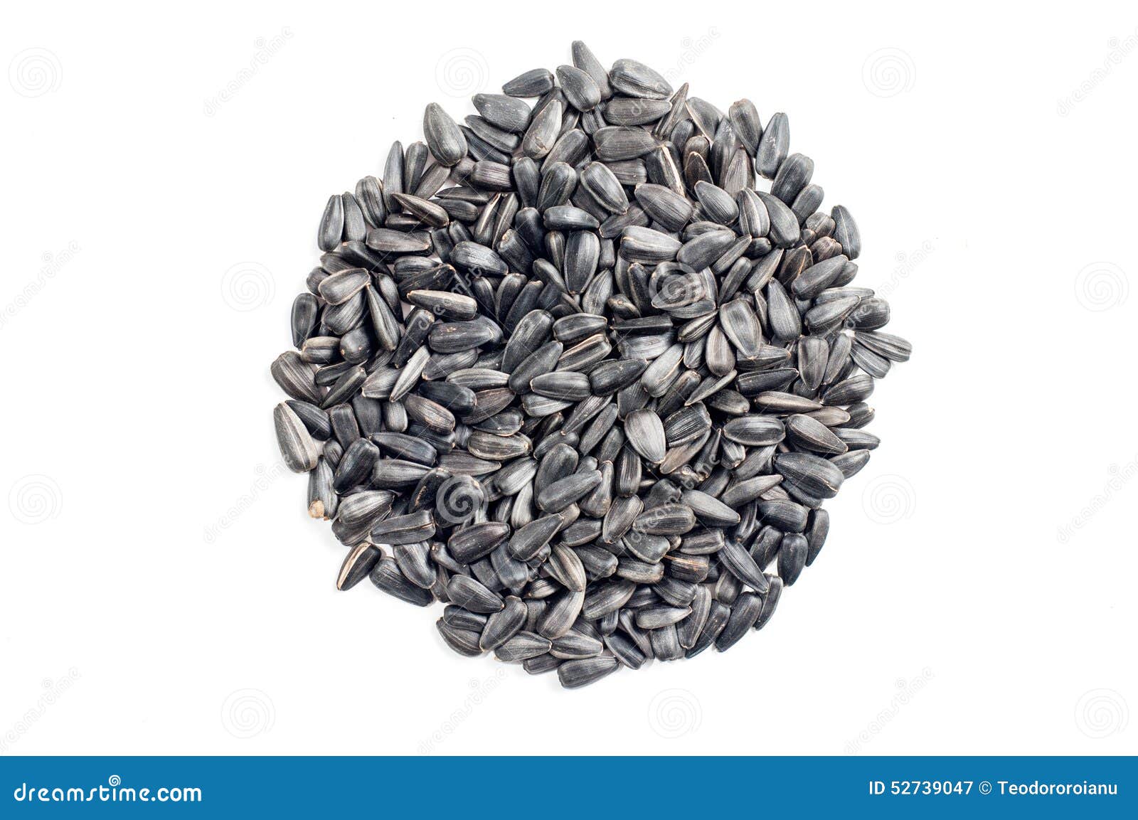 Sunflower seeds pile stock image. Image of cultivate - 52739047