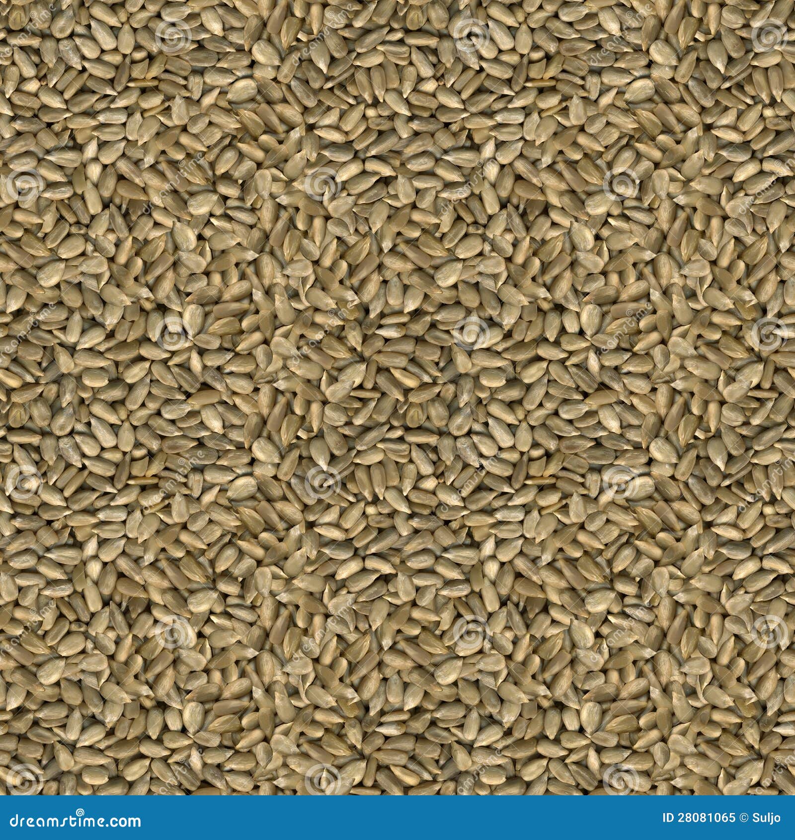 Sunflower Seeds Seamless Texture Stock Image - Image of group ...