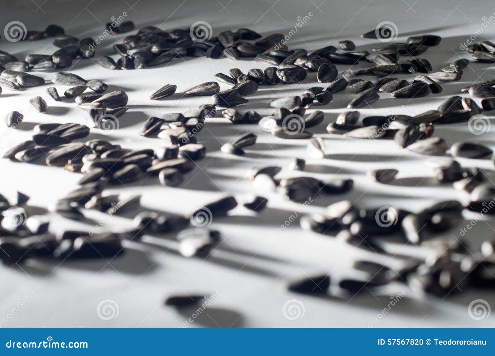 Sunflower seeds stock photo. Image of fruit, harvest - 57567820