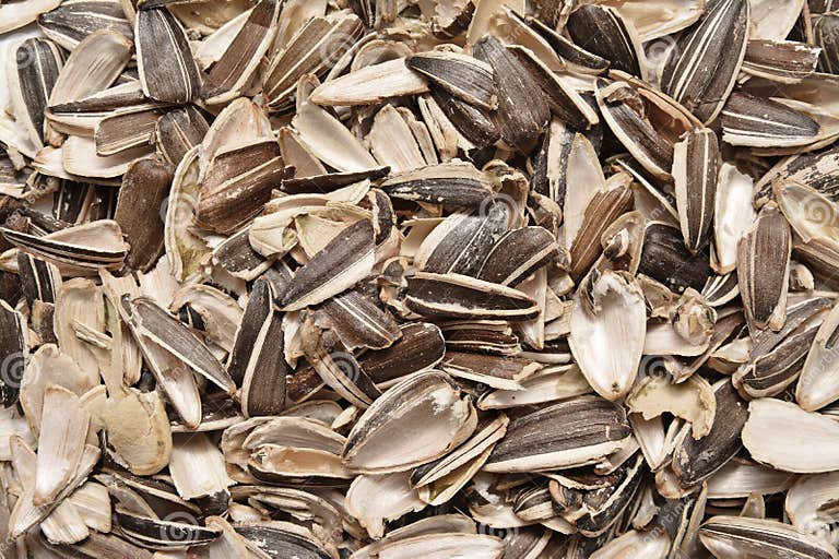 Sunflower seeds shells stock photo. Image of shell, background - 96738834