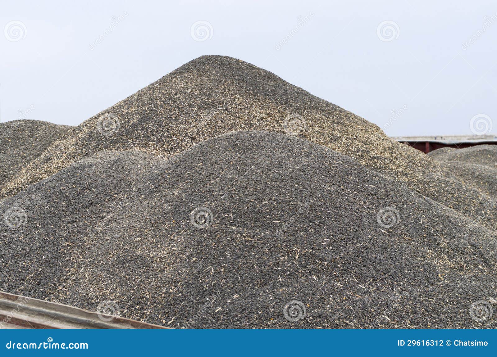 Sunflower Seeds on a Ship for Transport Stock Photo - Image of reaping ...