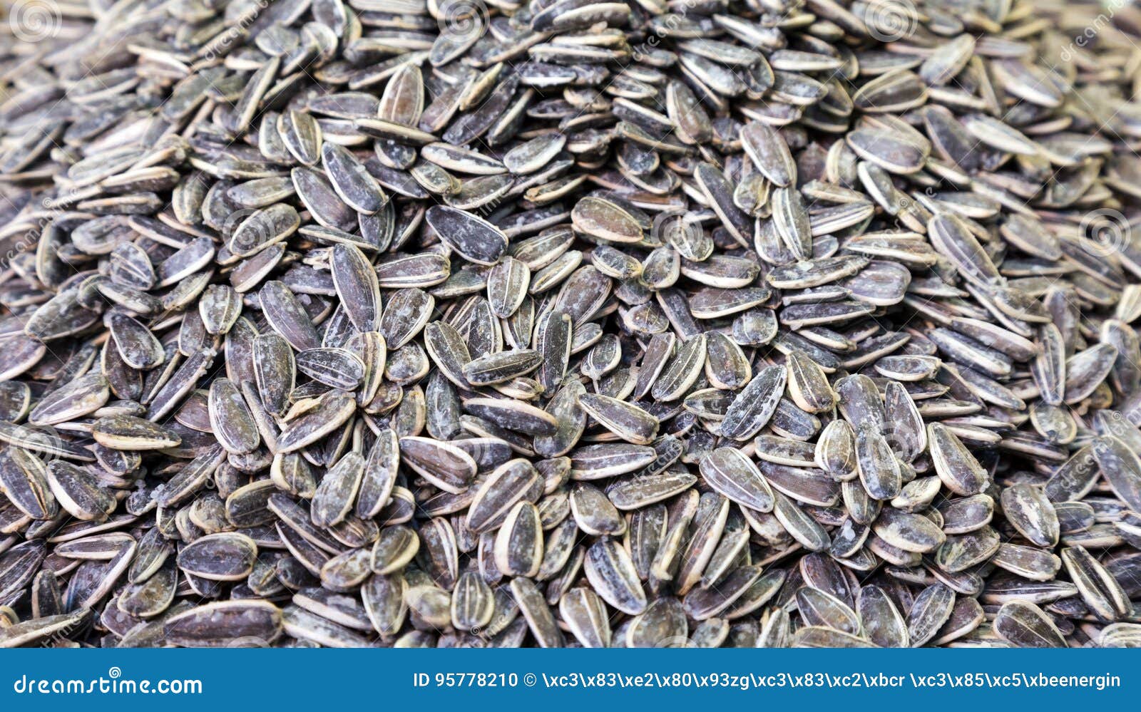 Cekirdek Stock Photos - Free & Royalty-Free Stock Photos from Dreamstime