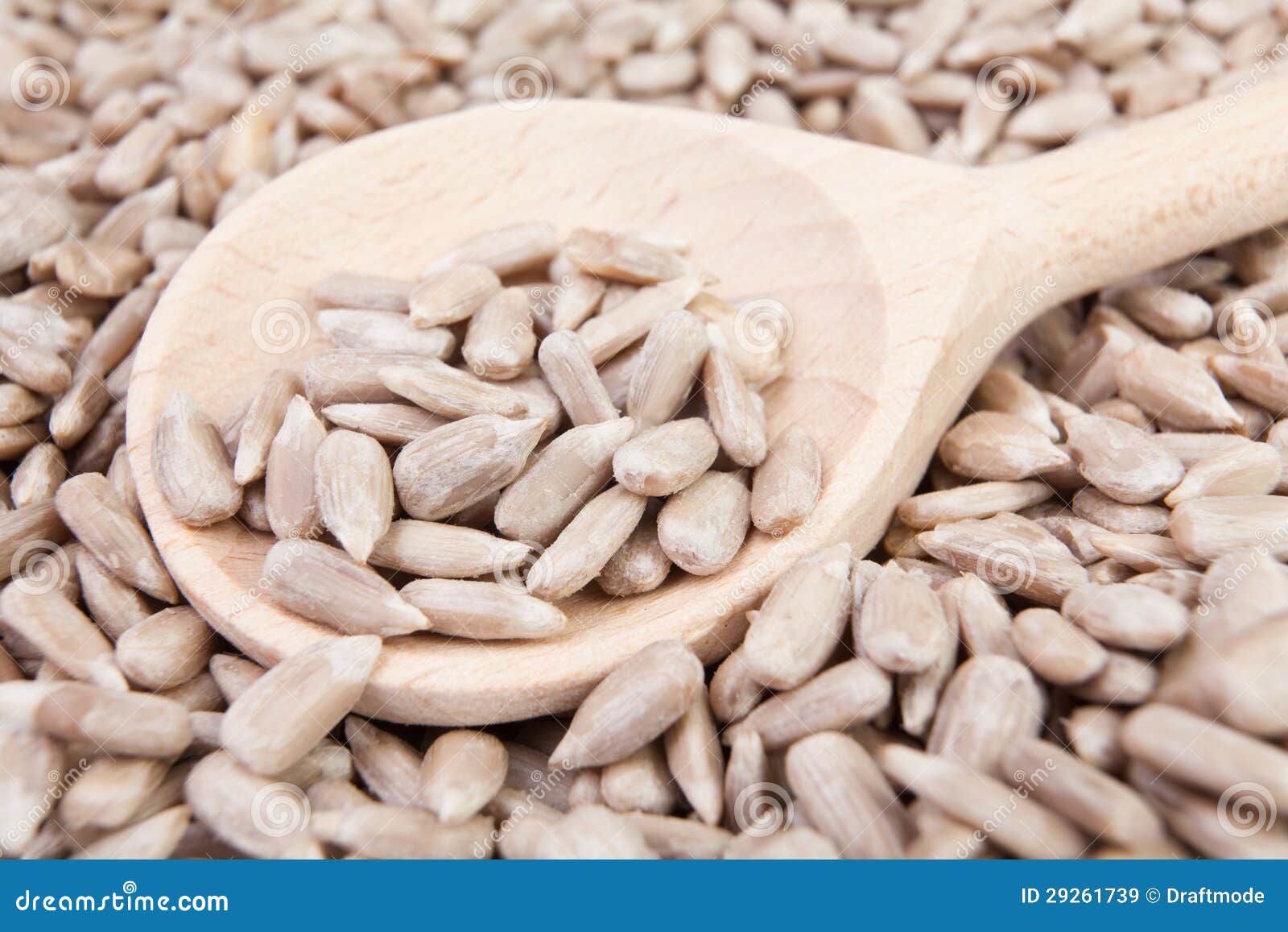 Sunflower seeds spoon stock image. Image of season, focus - 29261739