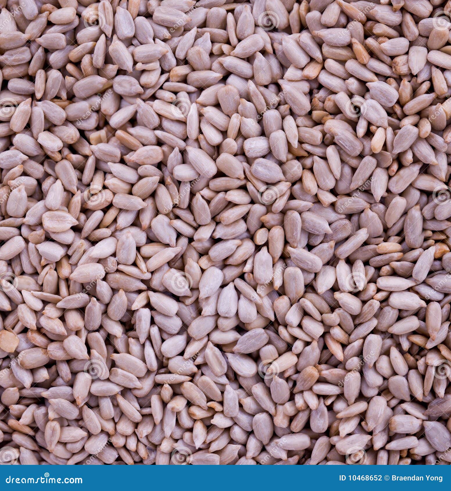 Sunflower seeds texture stock photo. Image of hulled - 10468652