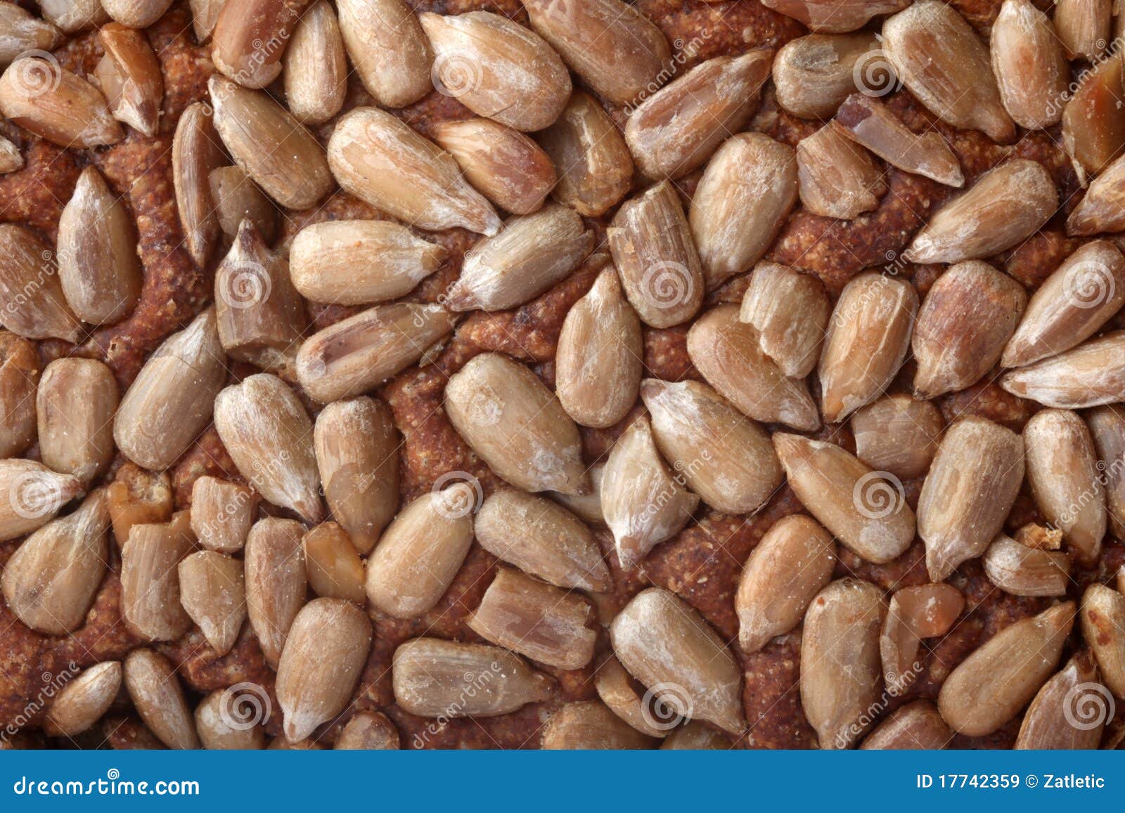 Sunflower seeds texture stock image. Image of bake, breakfast - 17742359