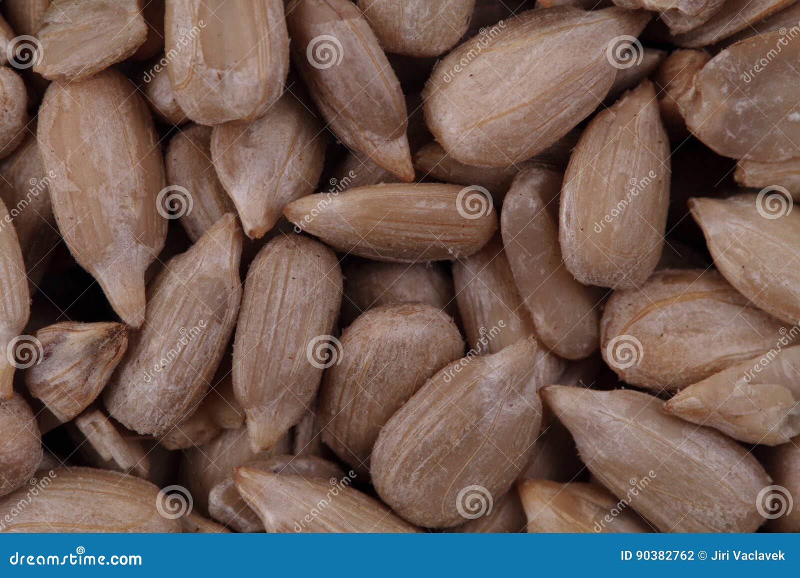 Sunflower seeds texture stock photo. Image of close, ingredient - 90382762