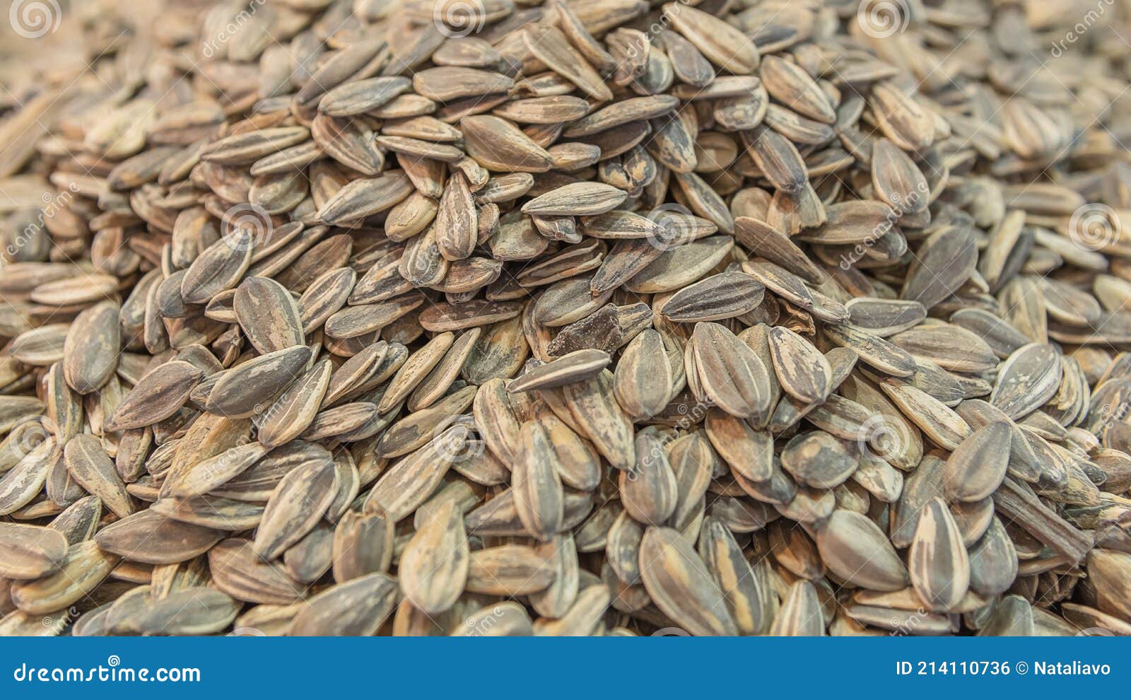 Sunflower Seeds. Vegetarian Food Nuts and Seeds Stock Photo - Image of ...