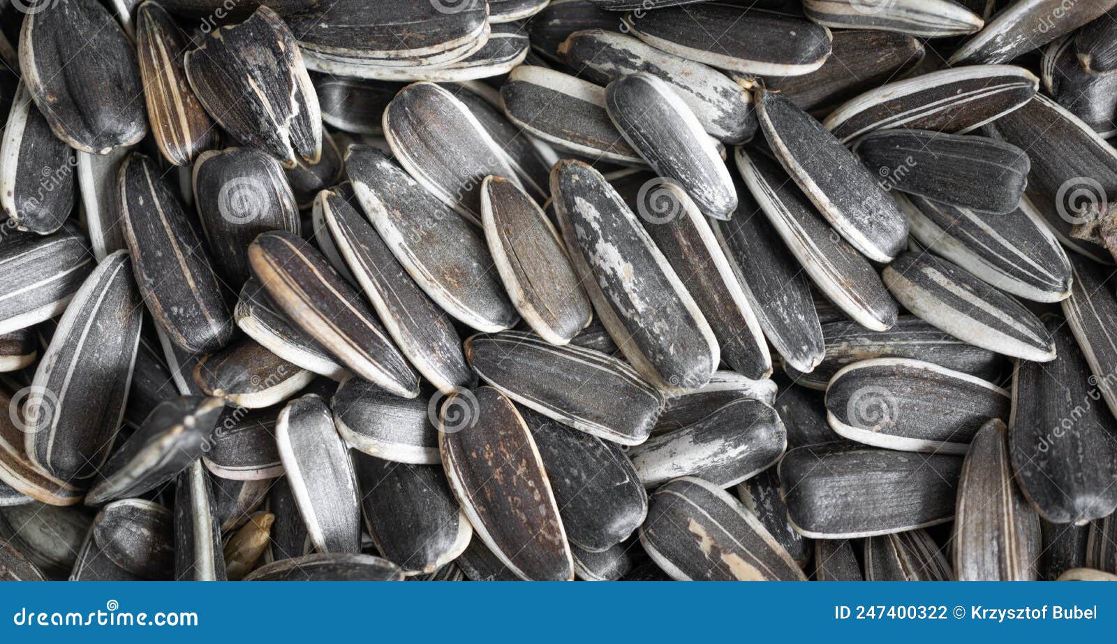 Sunflower Seeds with a Visible Texture. Background Stock Photo - Image ...