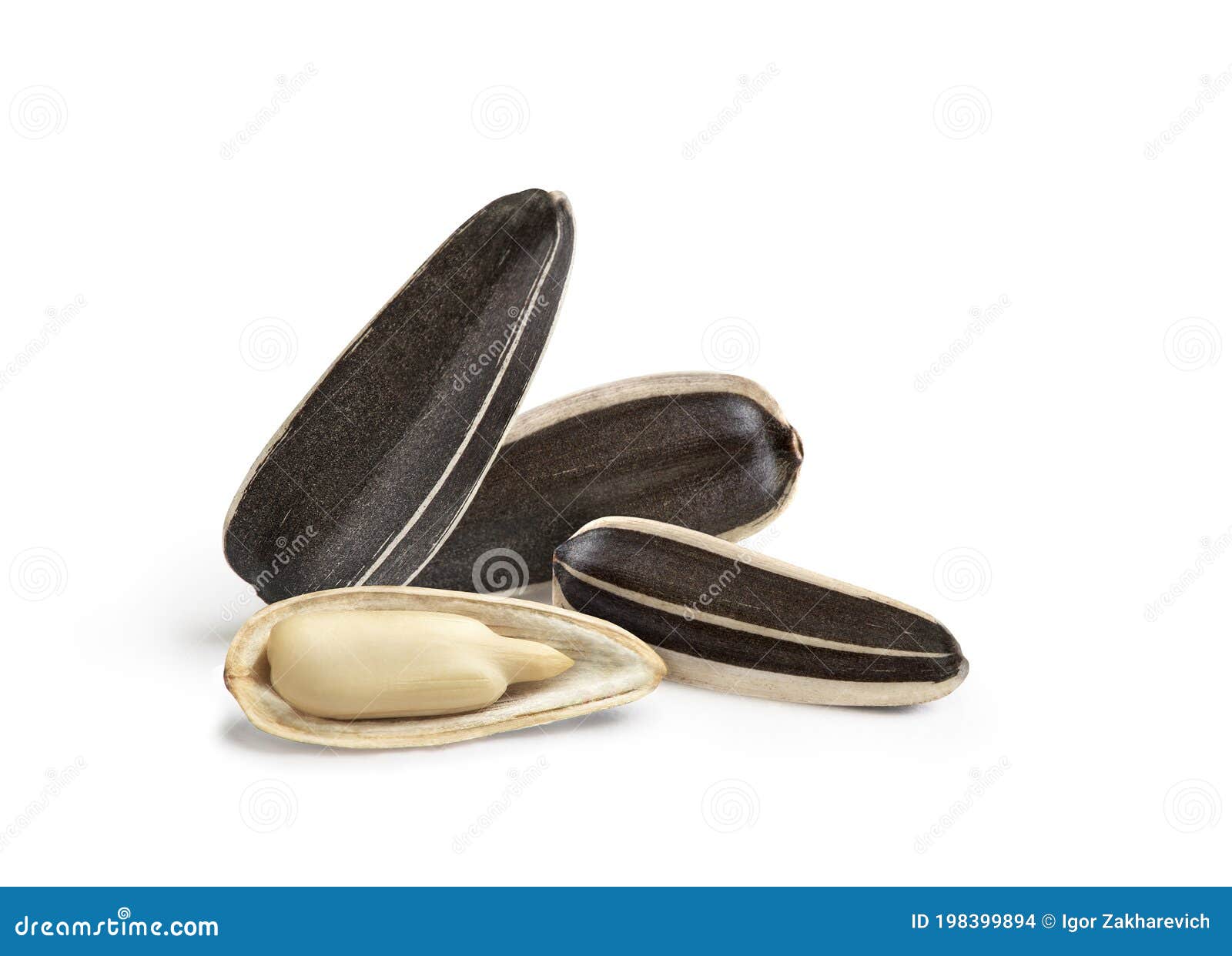 Sunflower Seeds on a White Background Stock Photo - Image of bunch ...