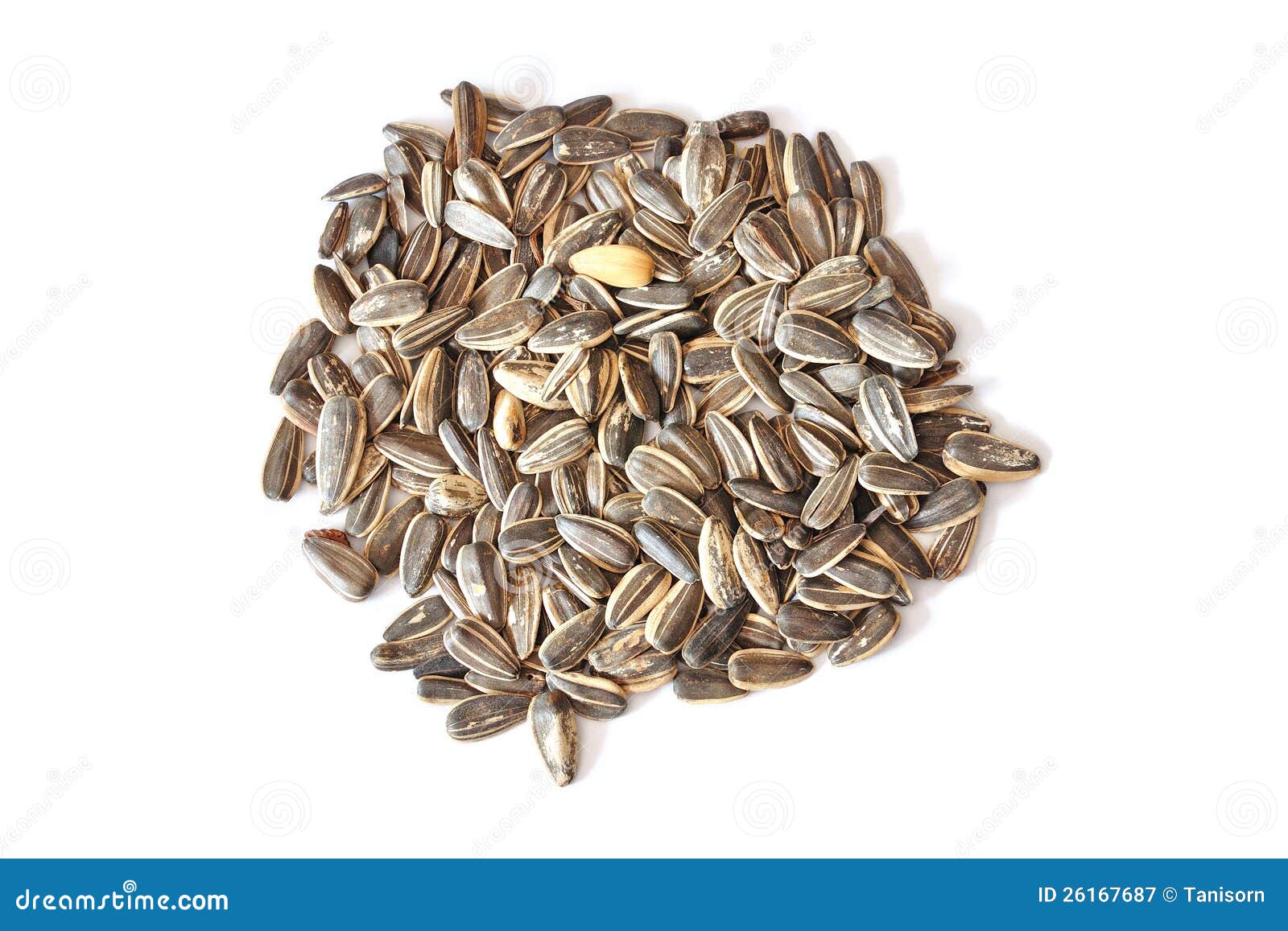Sunflower Seeds on White Background Stock Image - Image of objects ...