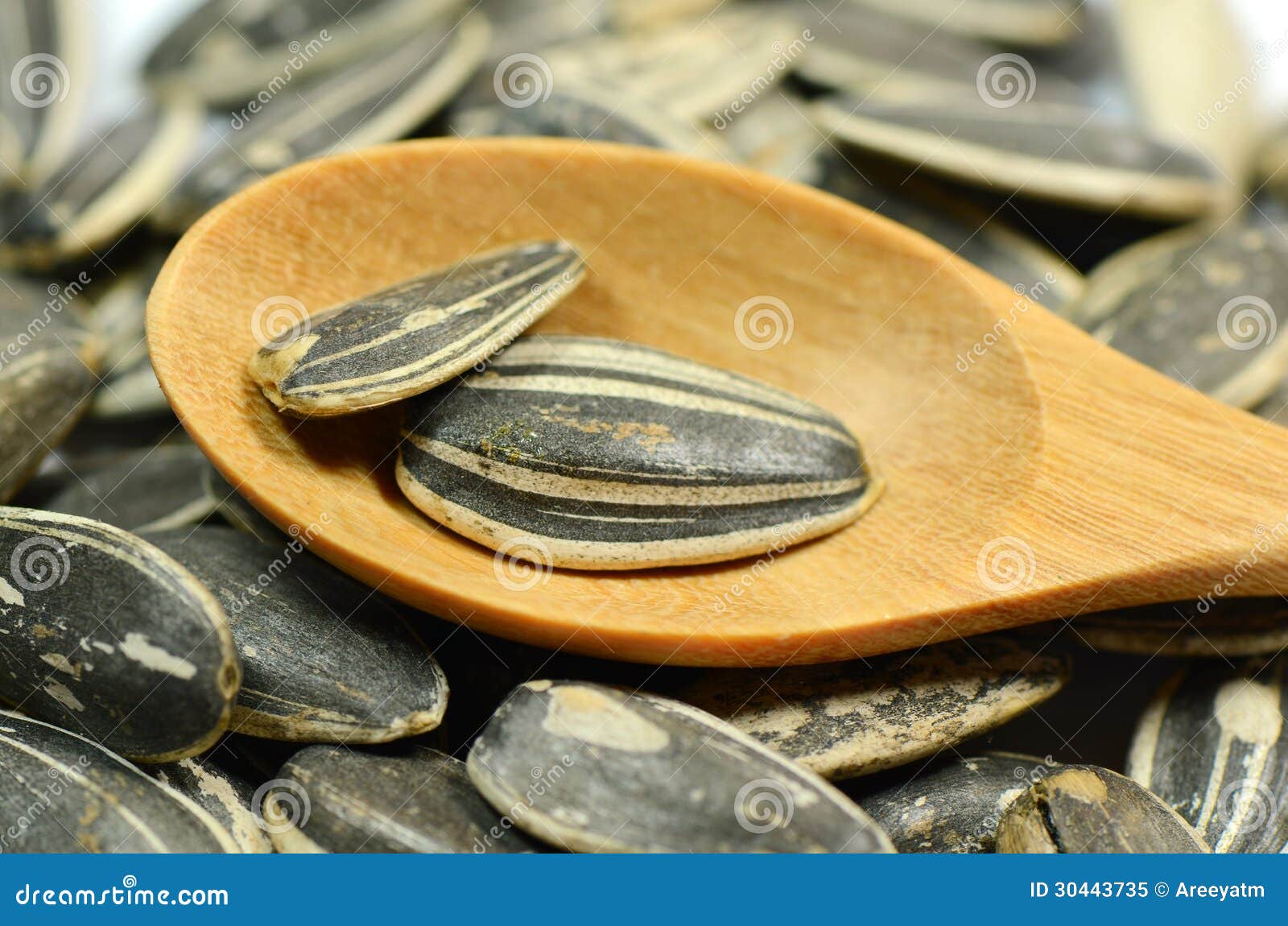 Sunflower Seeds. stock image. Image of saturated, rich - 30443735