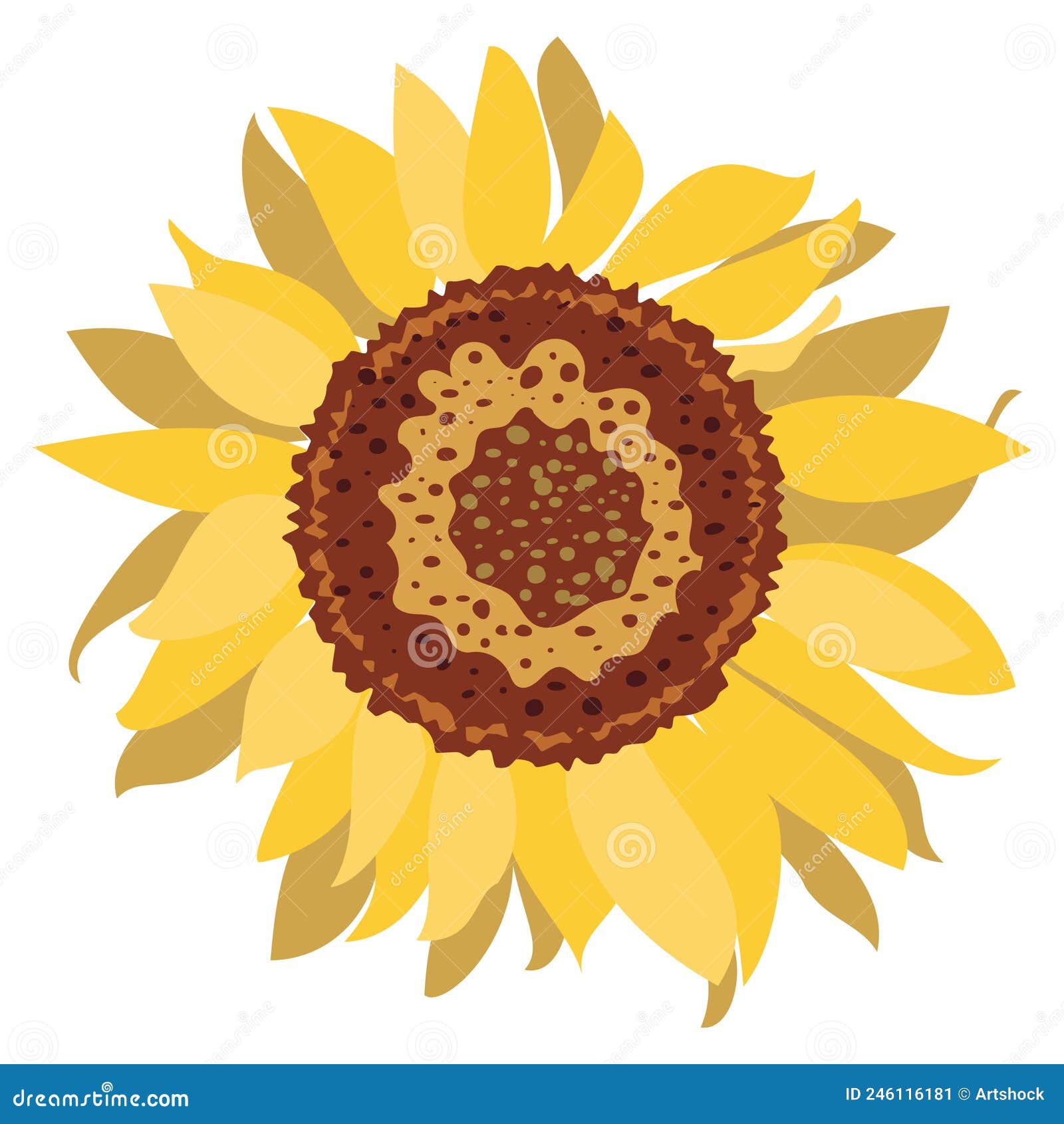 Sunflower simple flat stock vector. Illustration of beautiful - 246116181