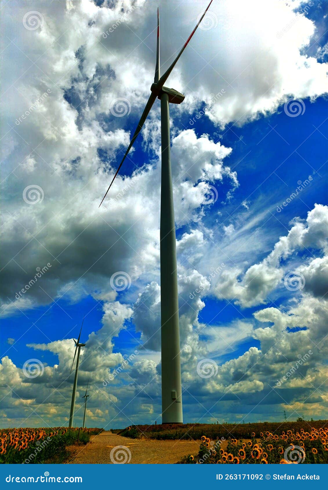 Sunflower, Sky and Windmills Stock Photo - Image of machine, horizon ...