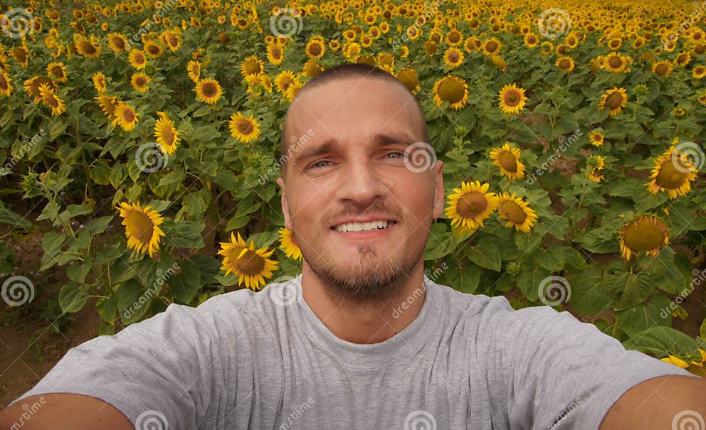 Sunflower snapshot stock photo. Image of teeth, suflower - 15275190