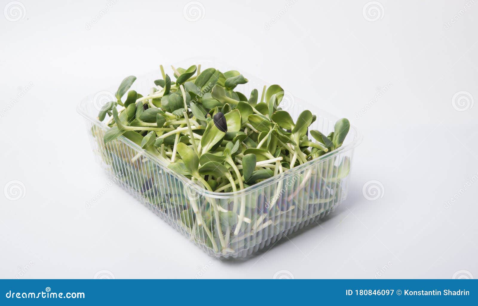 Sunflower Sprouts Products with Microgreens Stock Image - Image of ...