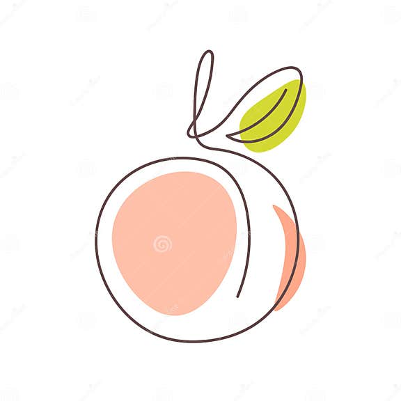 Peach Line Art. One Continuous Line Drawing Style Fruit Stock Vector ...