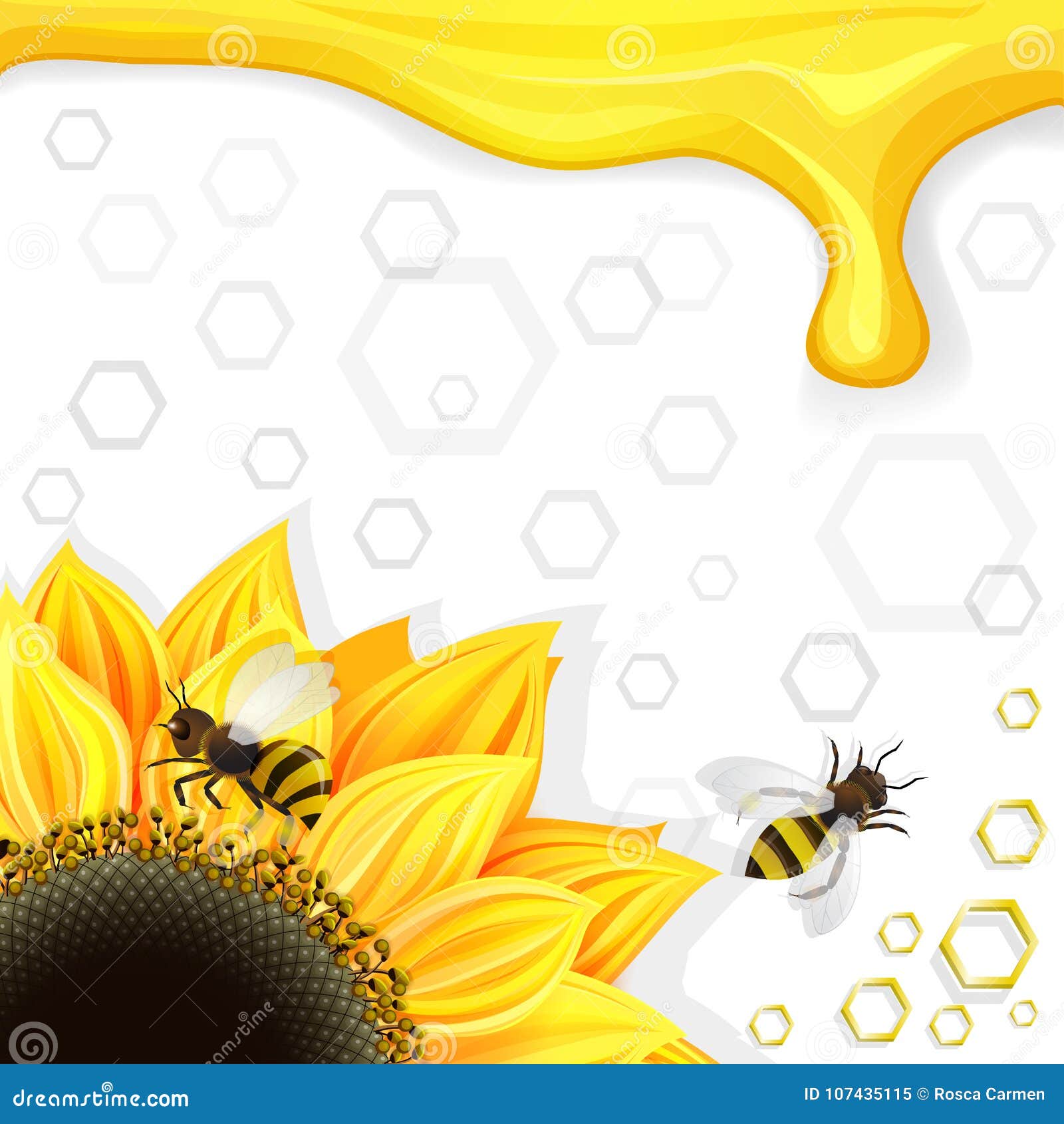 Sunflowers And Bees Over Honeycombs Stock Vector Illustration Of