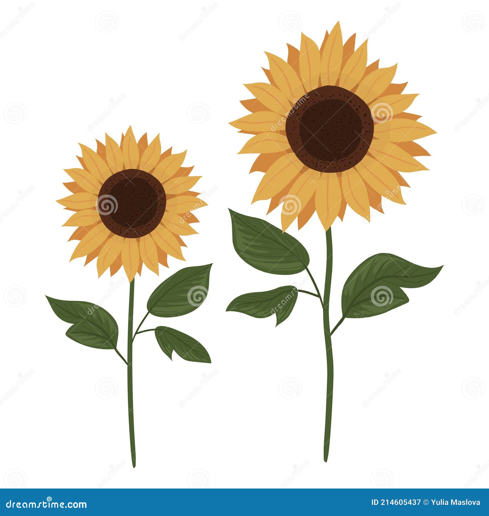 Sunflowers. Collection of Botanical Elements for Design Stock Vector ...