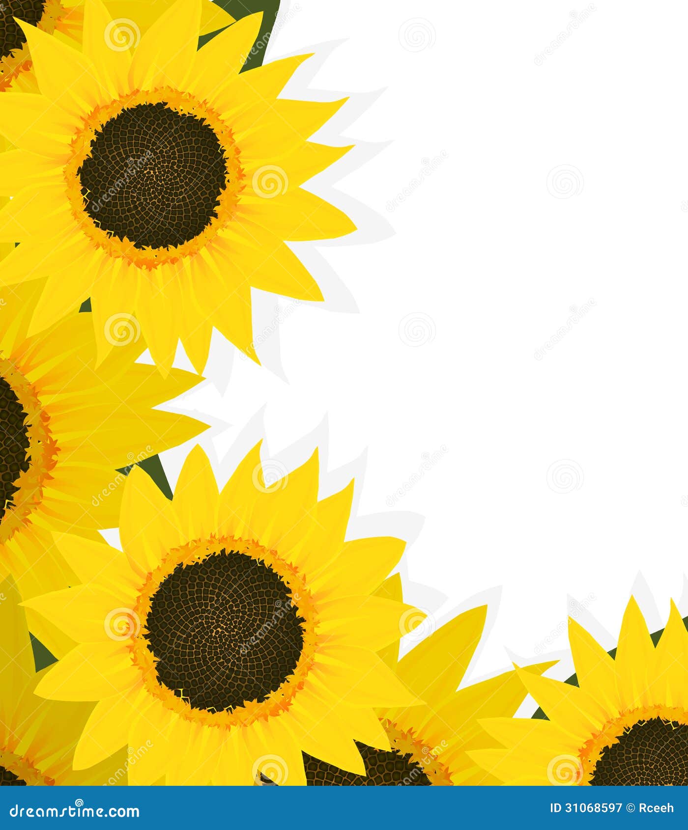 Sunflowers corner stock vector. Illustration of floral - 31068597