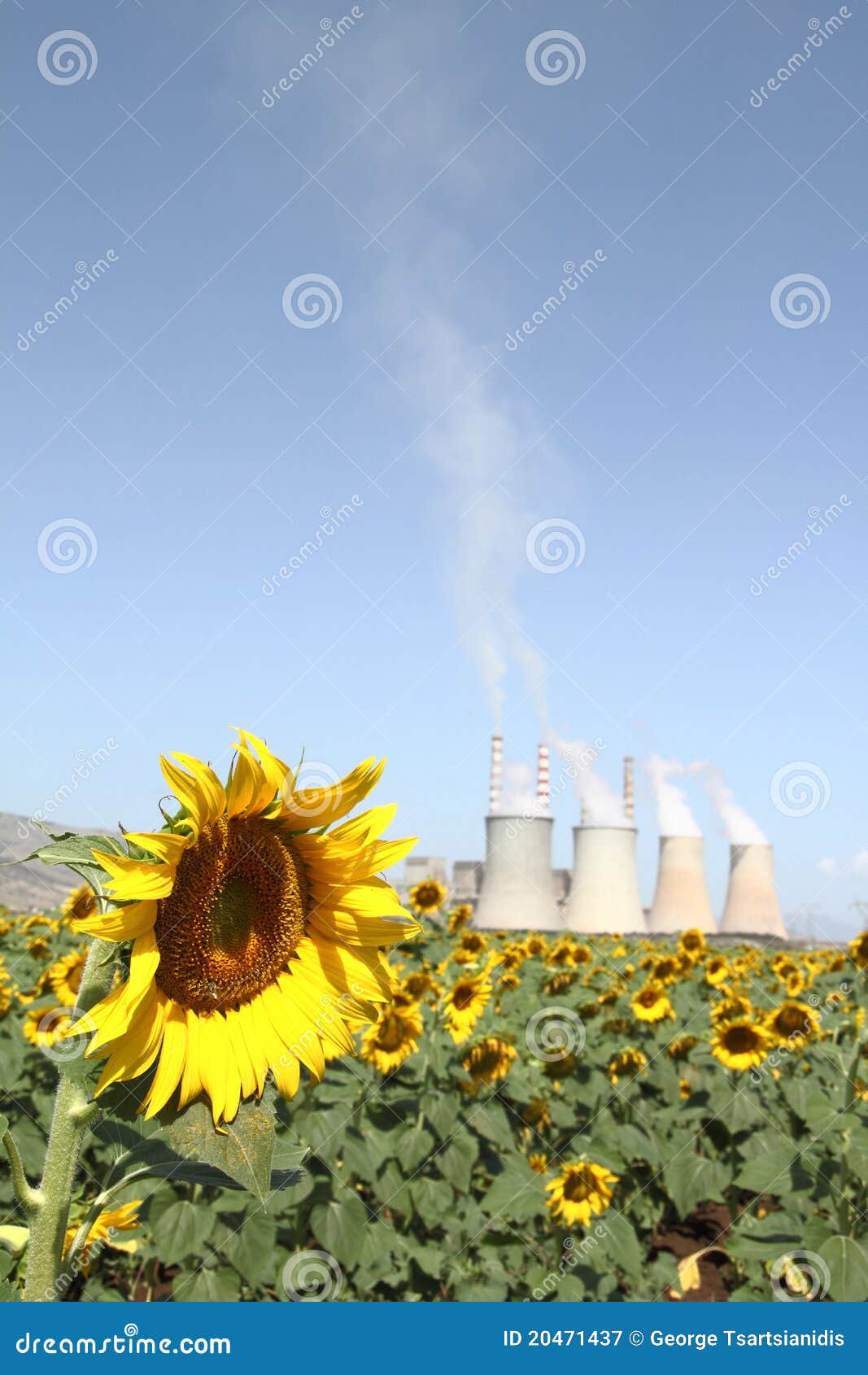 Sunflowers and factory stock image. Image of energy, heat - 20471437