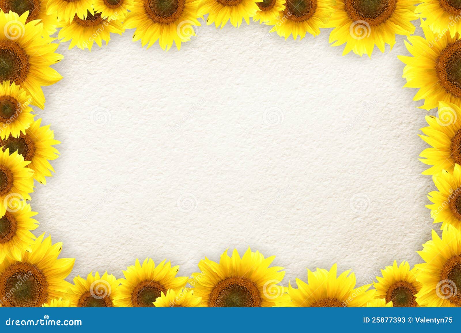 Sunflowers frame stock image. Image of dirty, garden - 25877393