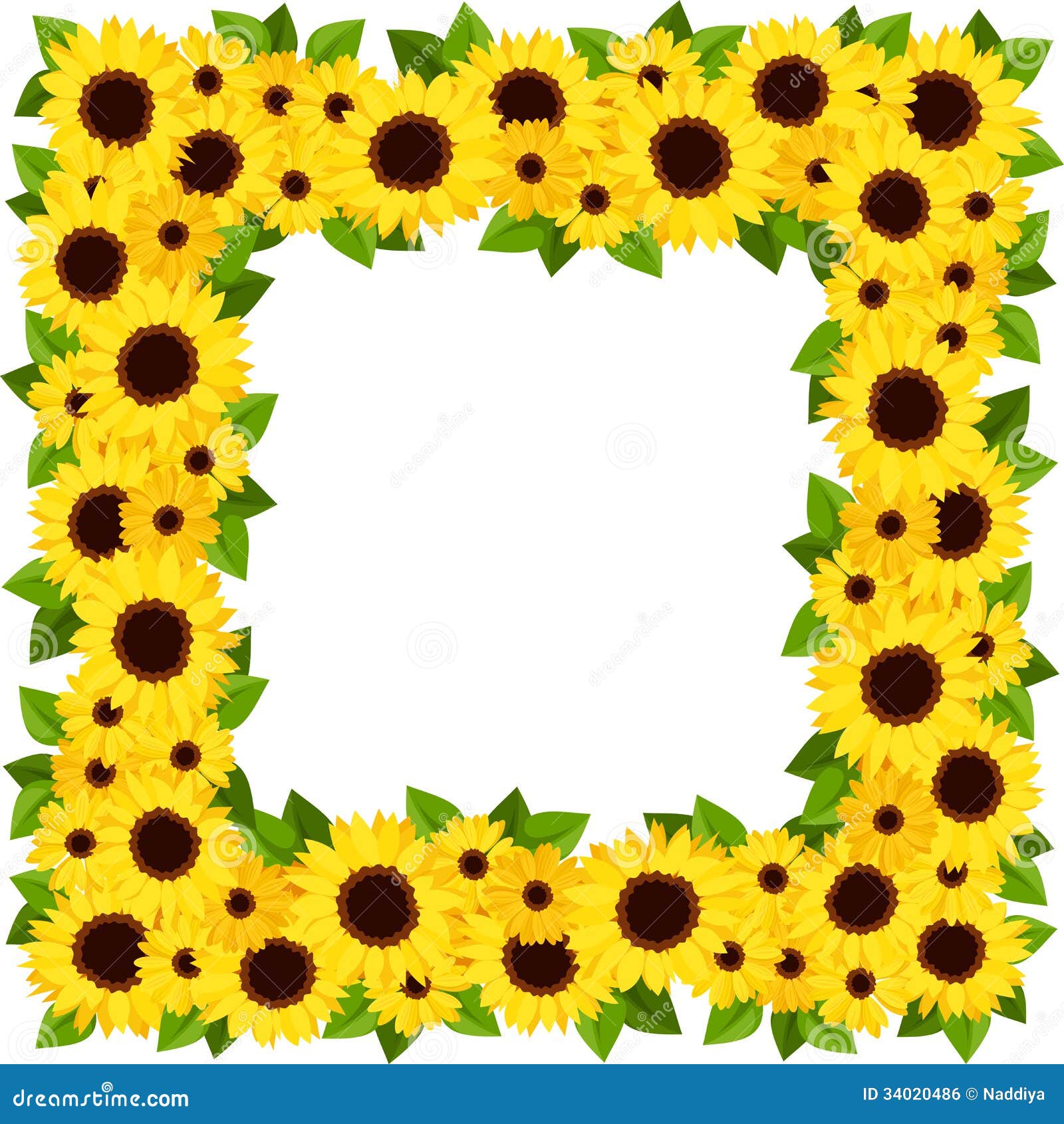 Sunflowers frame. stock vector. Illustration of flower - 34020486
