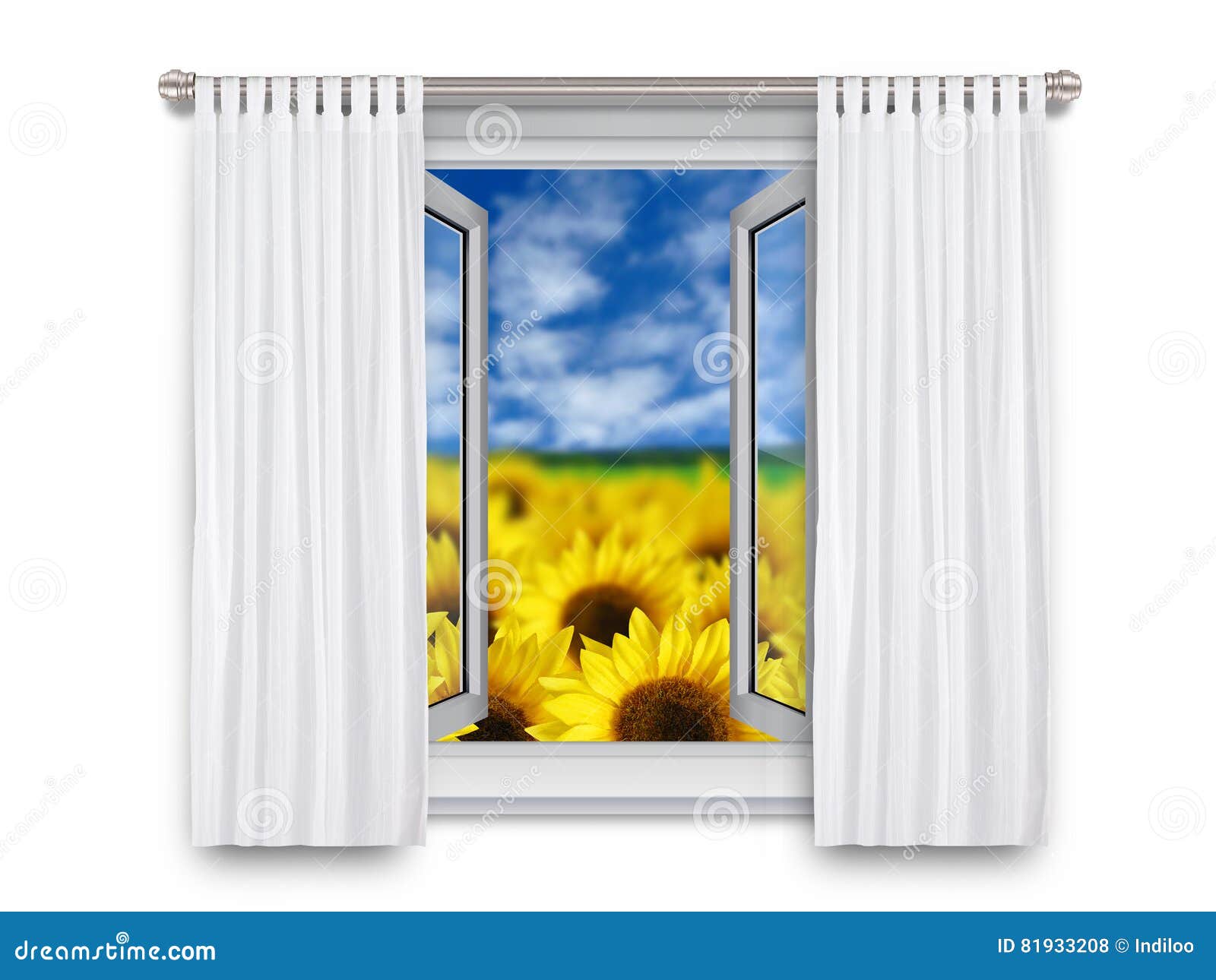 Sunflowers through Open Window Stock Photo - Image of blue, indoor ...