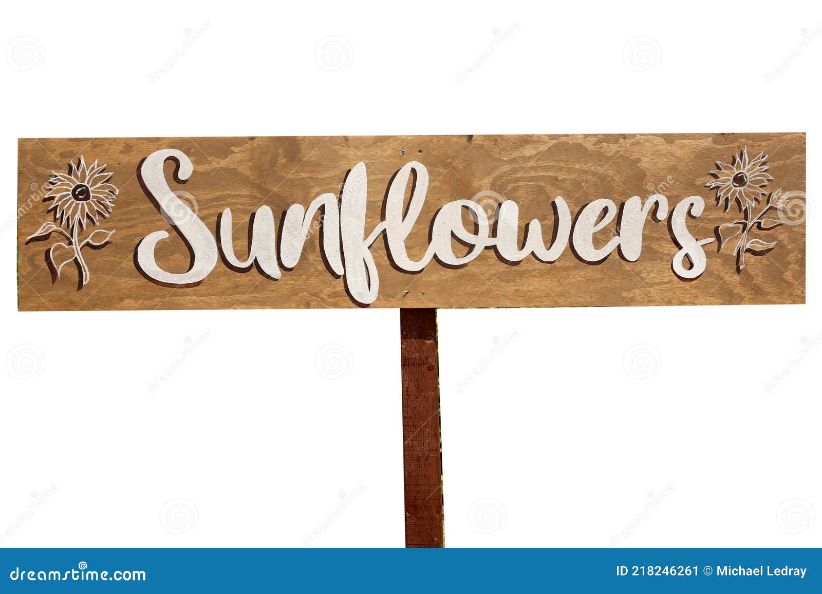 Sunflowers Sign. Field Of Sunflowers With A Sunflowers Sign Royalty ...