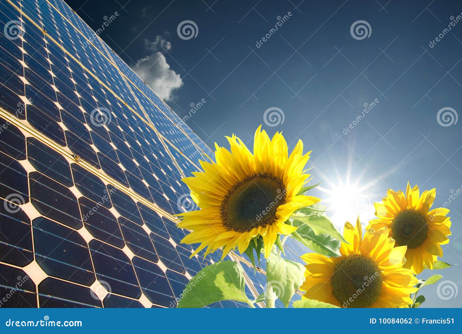 Sunflowers and solar panel stock photo. Image of converting - 10084062
