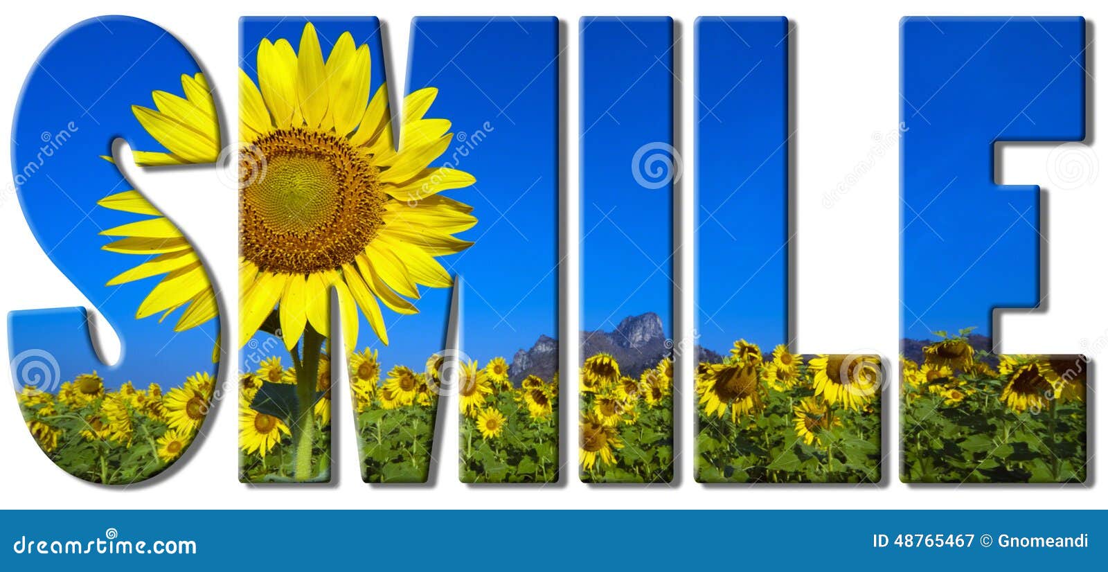 Sunflowers text - smile stock illustration. Illustration of rural ...