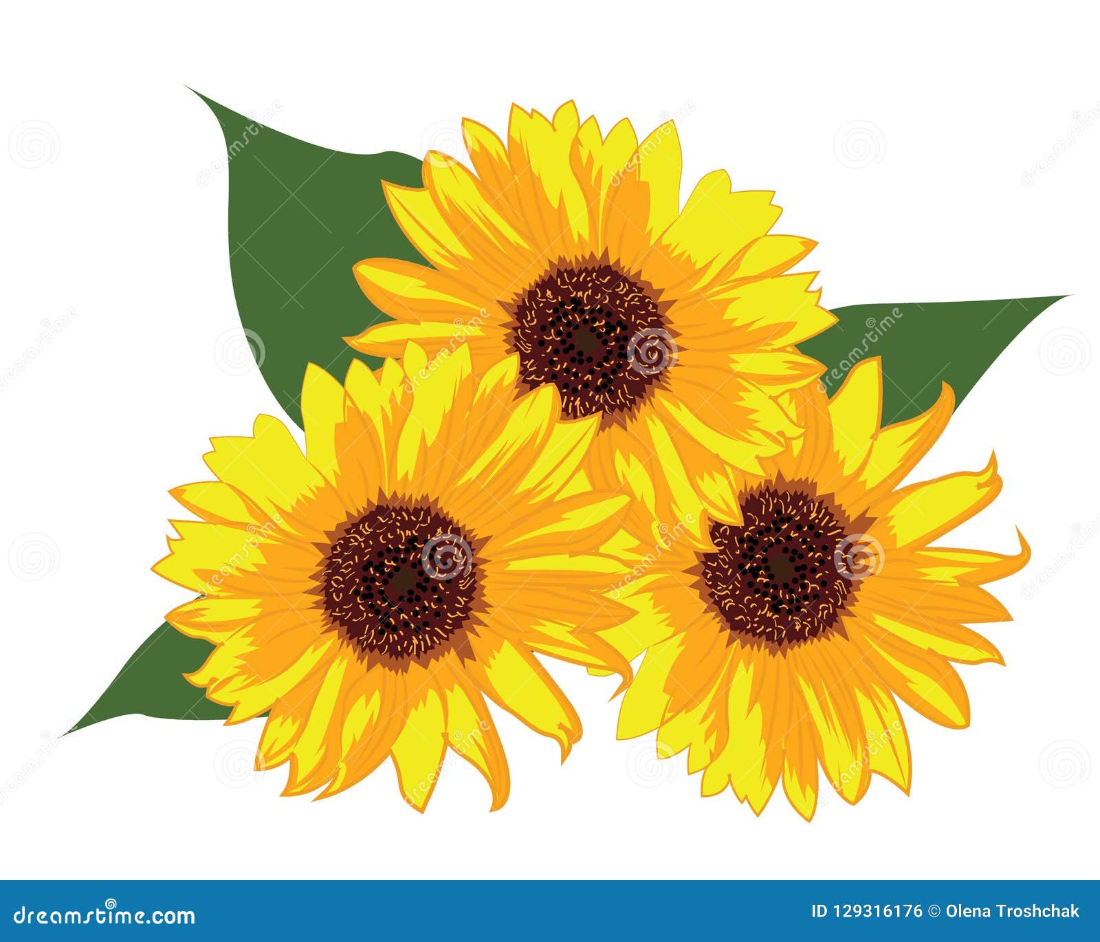 Sunflowers Vector Clipart Rustic Flowers Clip Art Watercolor