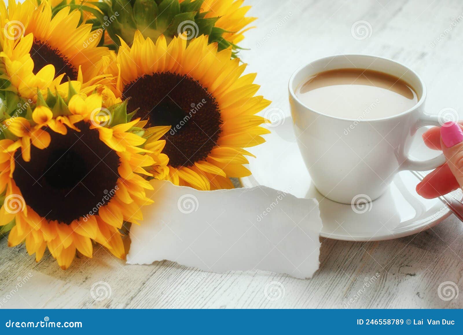 Sunflowers with White Paper and Tea Cups. Sunflowers Used As Background ...