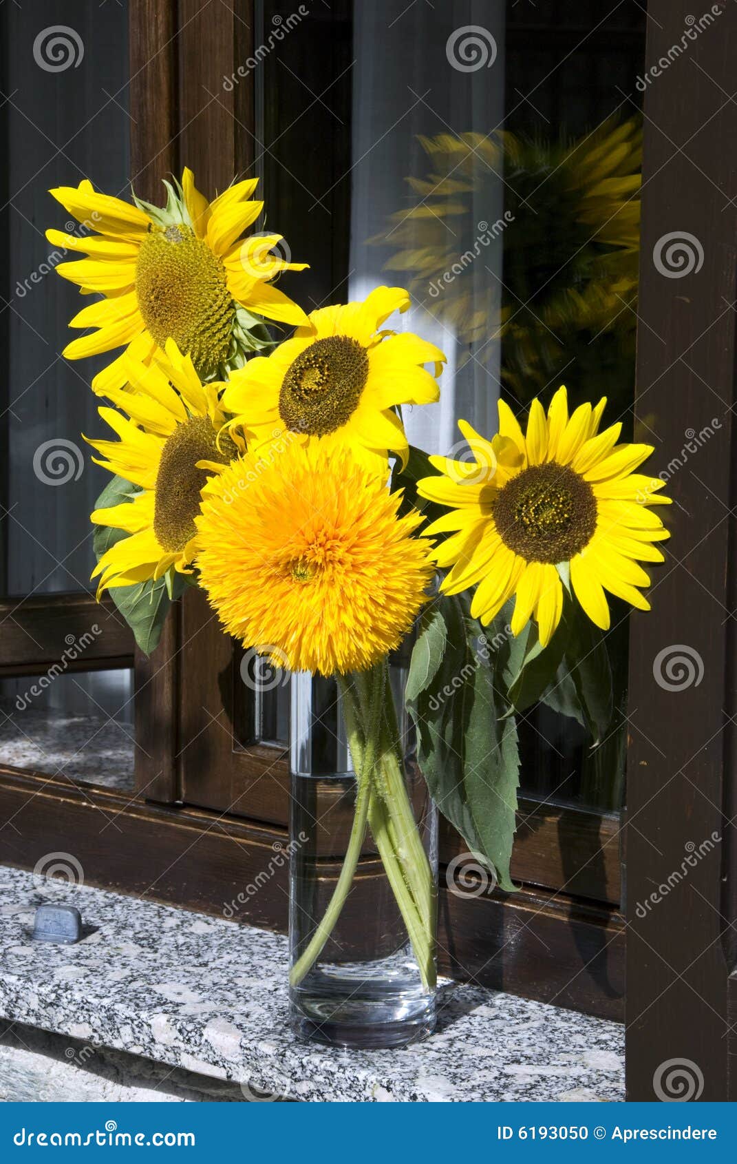 Sunflowers on a window stock photo. Image of colors, gardening - 6193050