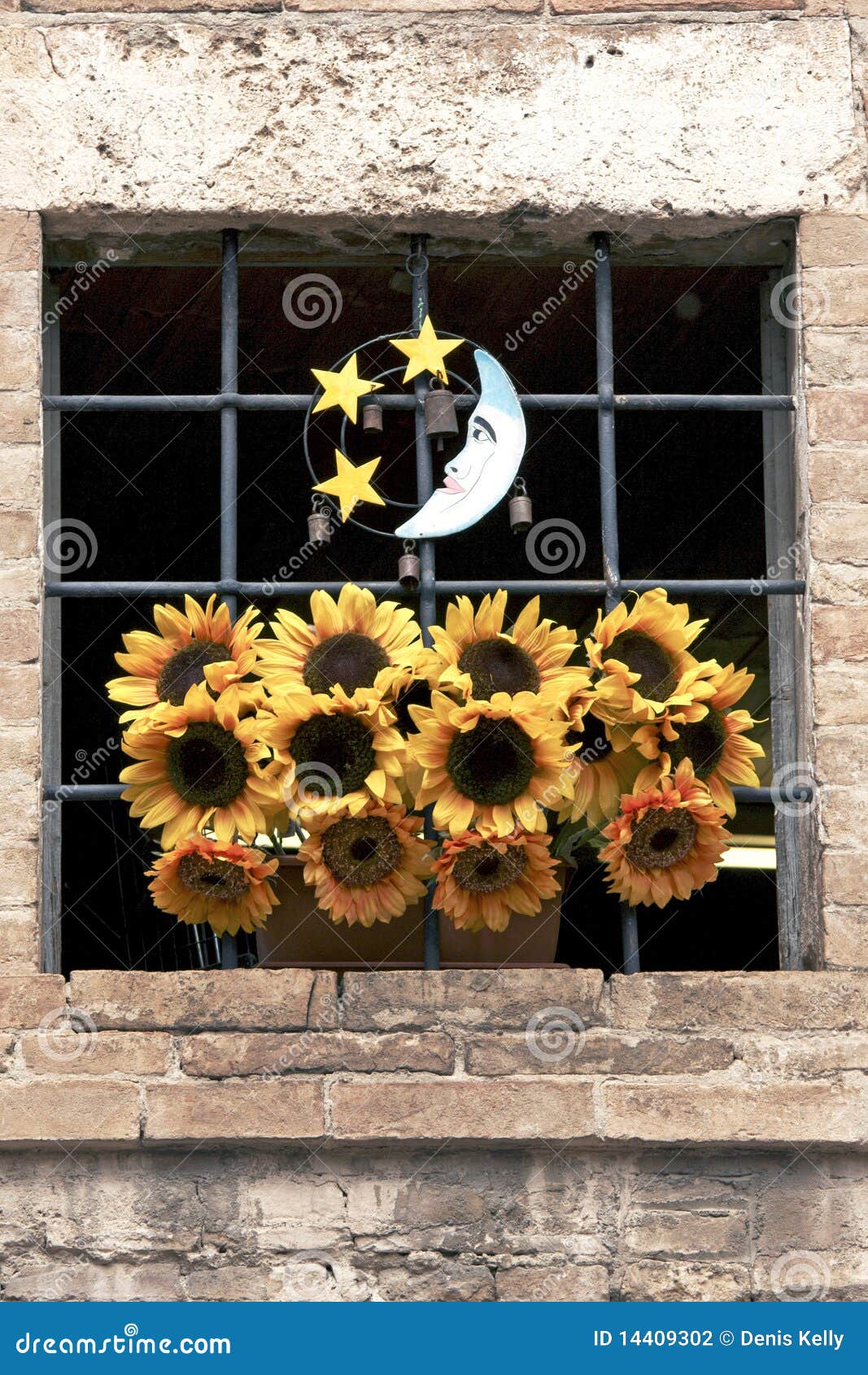 Sunflowers in Window, Italy Stock Photo - Image of bars, detail: 14409302