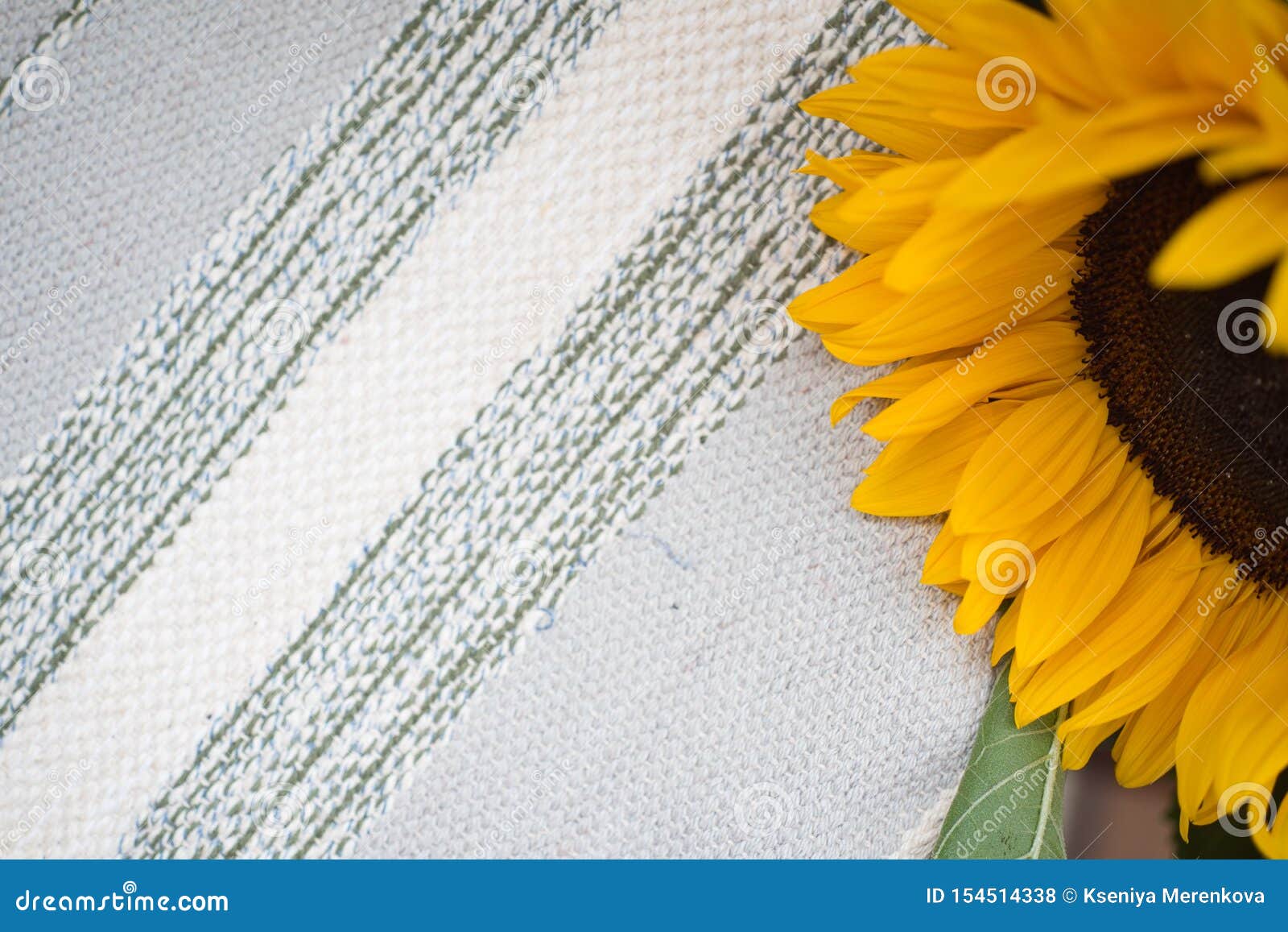 Sunflowers On A Wood And Rustic Background Royalty-Free Stock Image ...