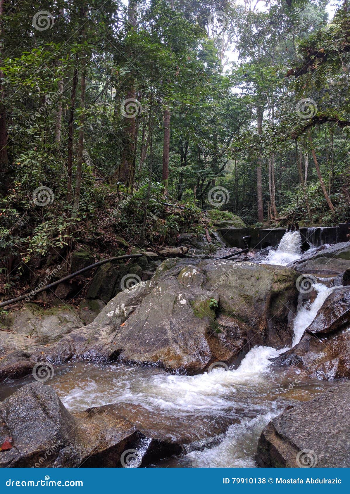 Sungai Tekala stock photo. Image of amazing, hike, needed - 79910138