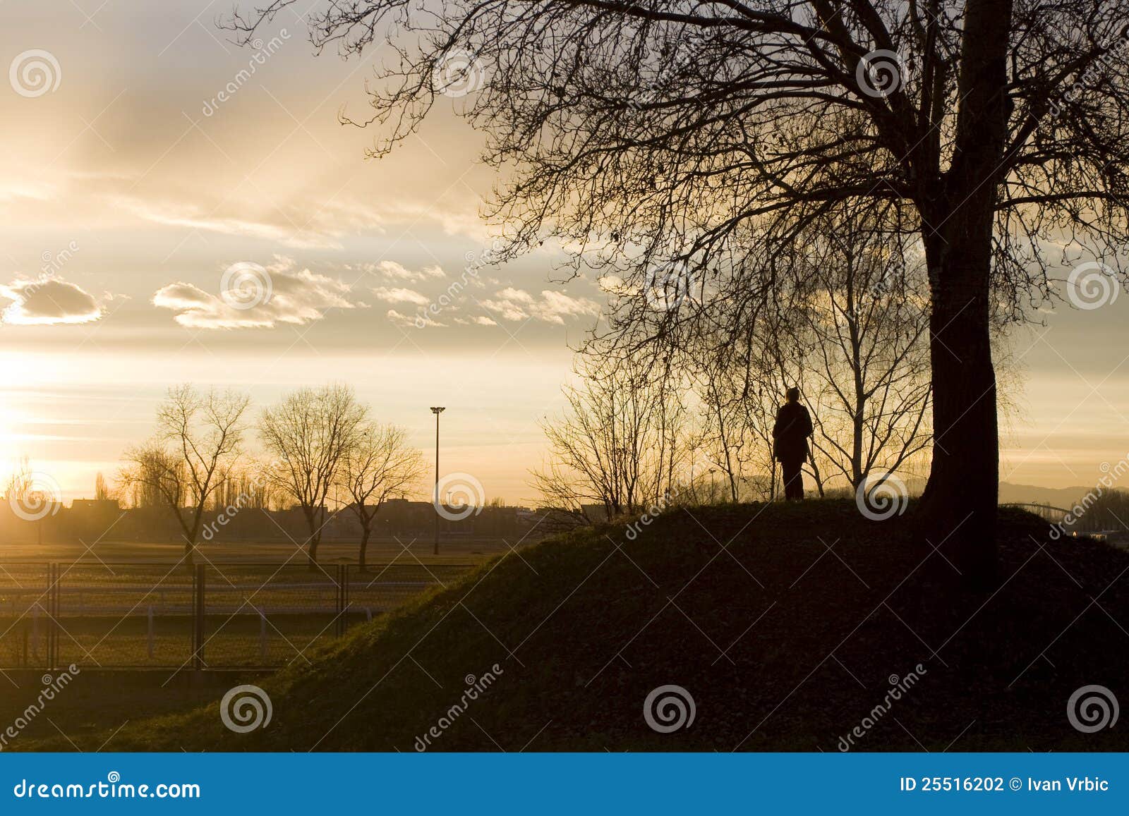 Sungazing stock photo. Image of method, silhouette, solar - 25516202