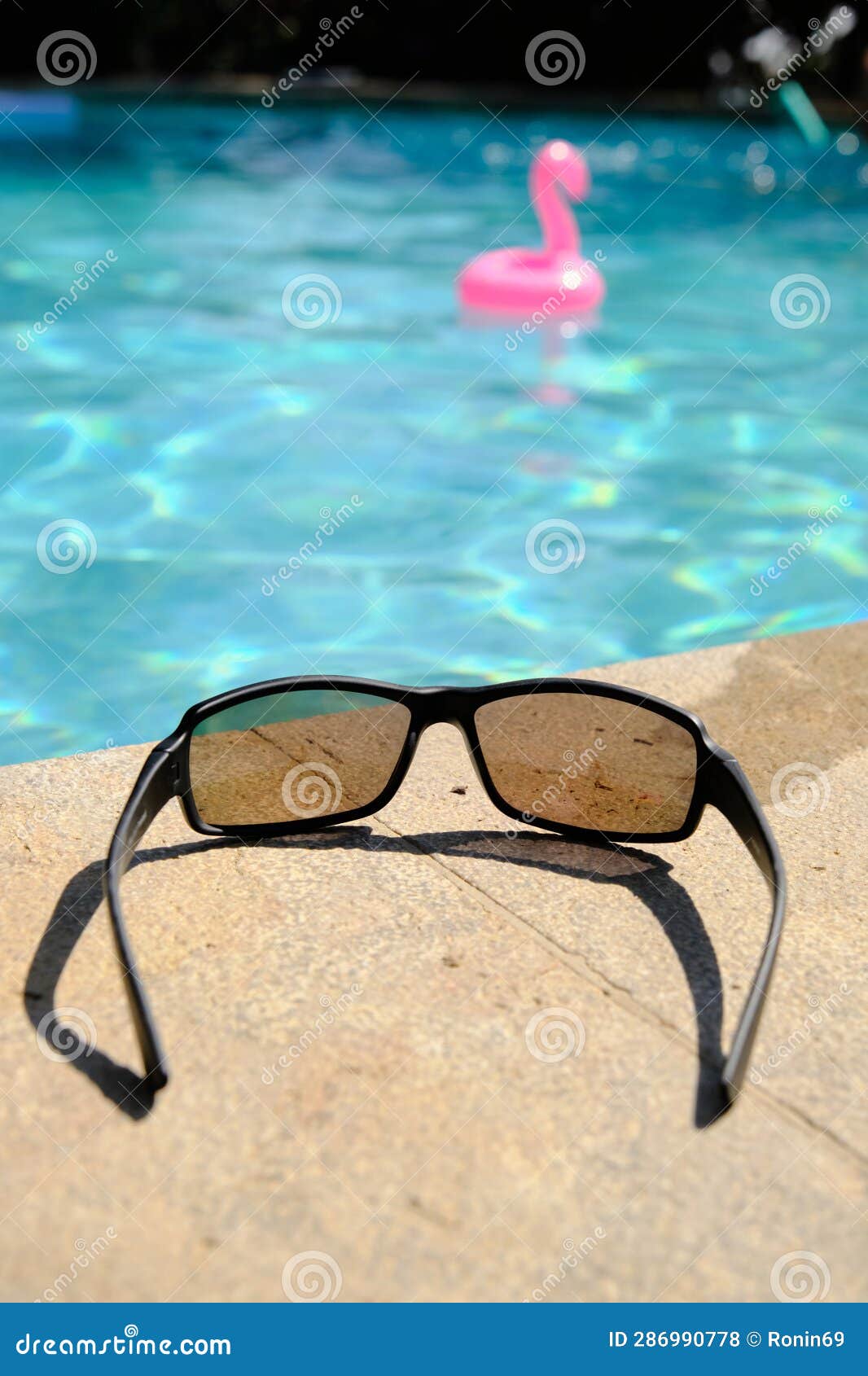 Sunglasses on the Background of the Pool Stock Photo - Image of shades ...