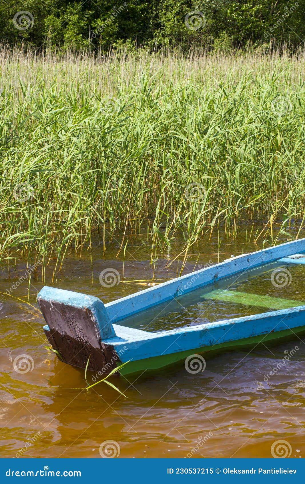 Sunken flat bottom boat stock image. Image of diving - 230537215