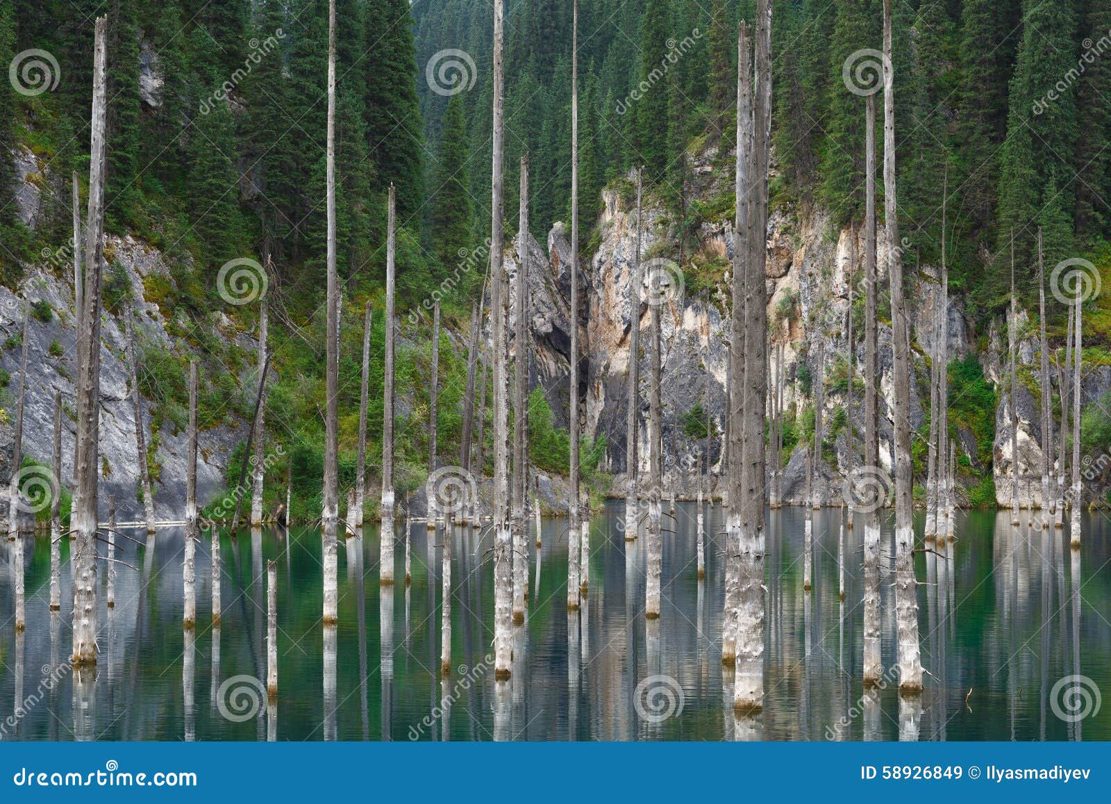 Sunken Forest in the Mountains Stock Image - Image of serene, people ...